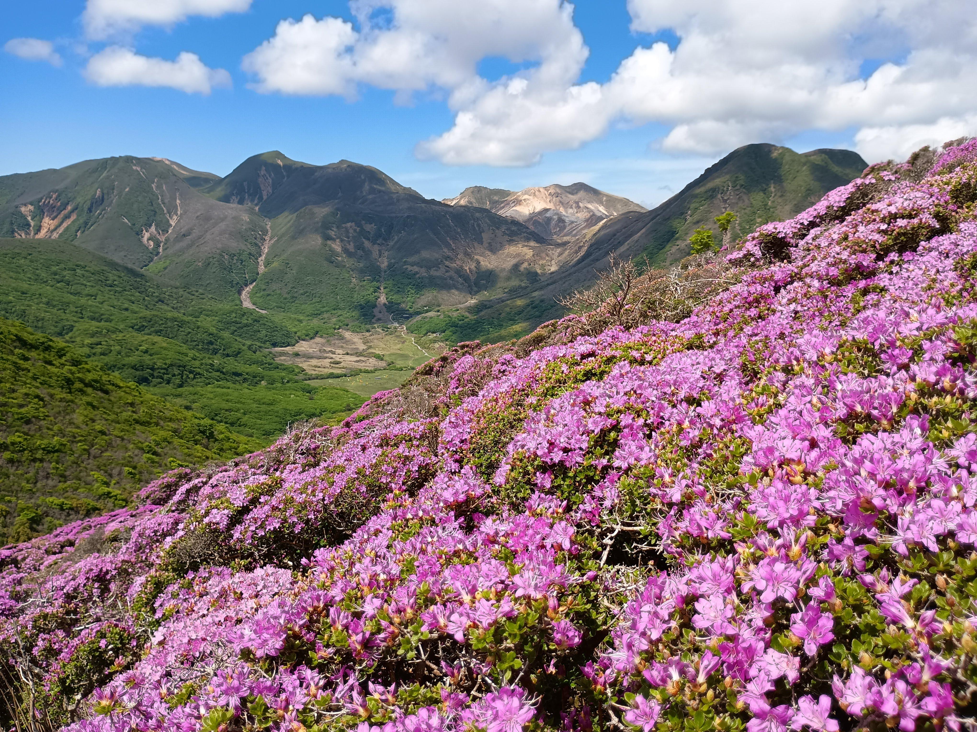 Mad Max平治岳 / ryuchanさんの九重山（久住山）・大船山・星生山の活動データ | YAMAP / ヤマップ