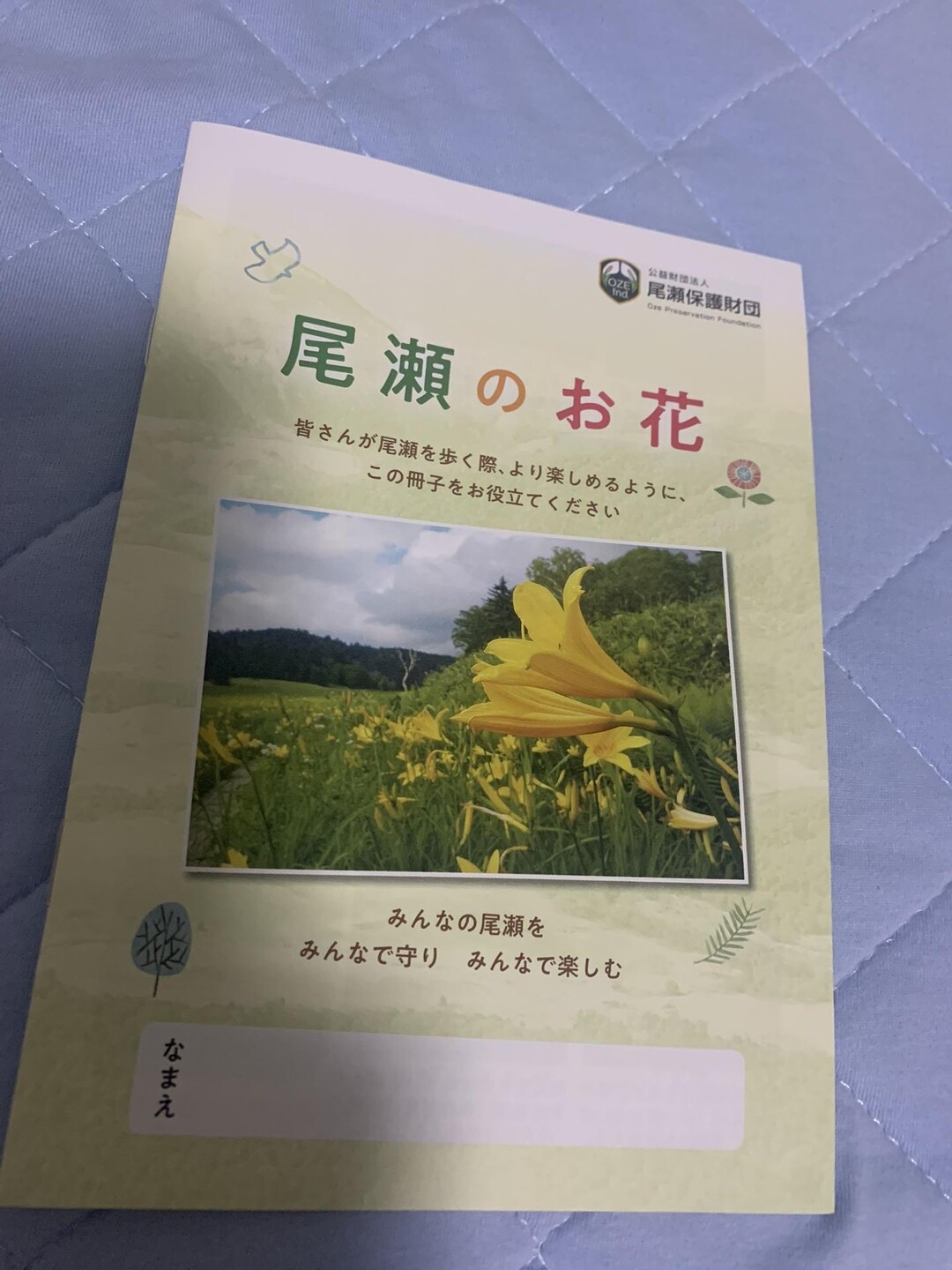 まださっぱり分からんけど、一応お花を覚え... / トッカリ（れいゆ）さんのモーメント | YAMAP / ヤマップ