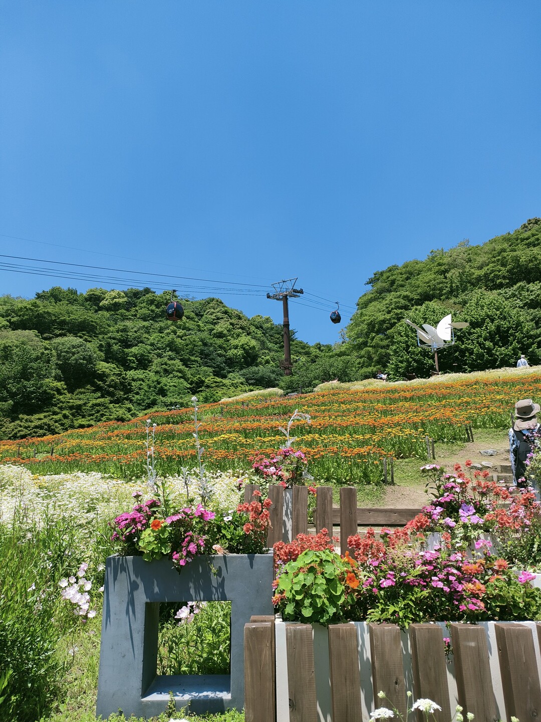 布引ハーブ園で読書2022-05-22 / tam-tam 38さんの六甲山・長峰山・摩耶山の活動データ | YAMAP / ヤマップ