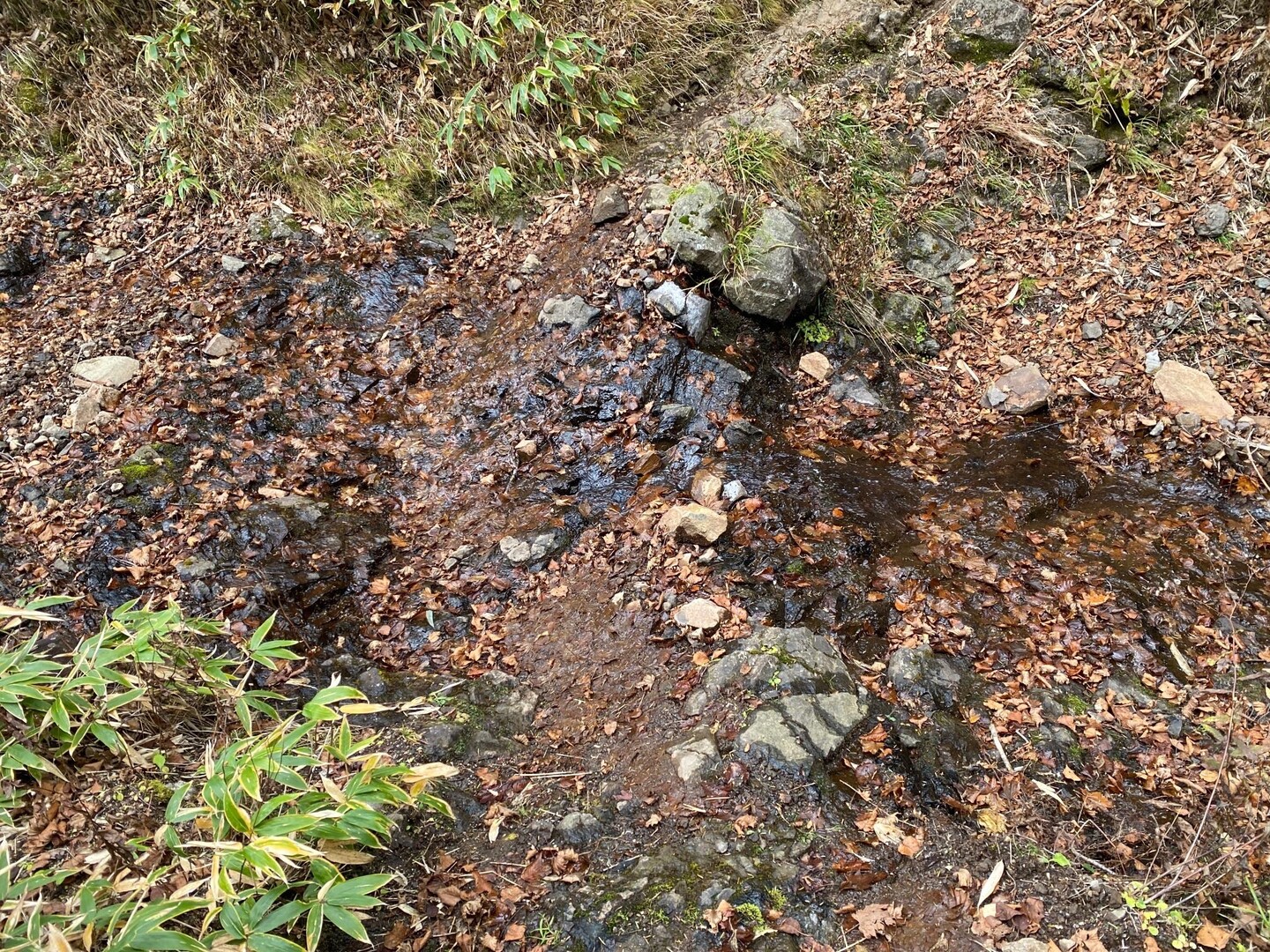 nachaさんの投稿したフィールドメモ | YAMAP / ヤマップ