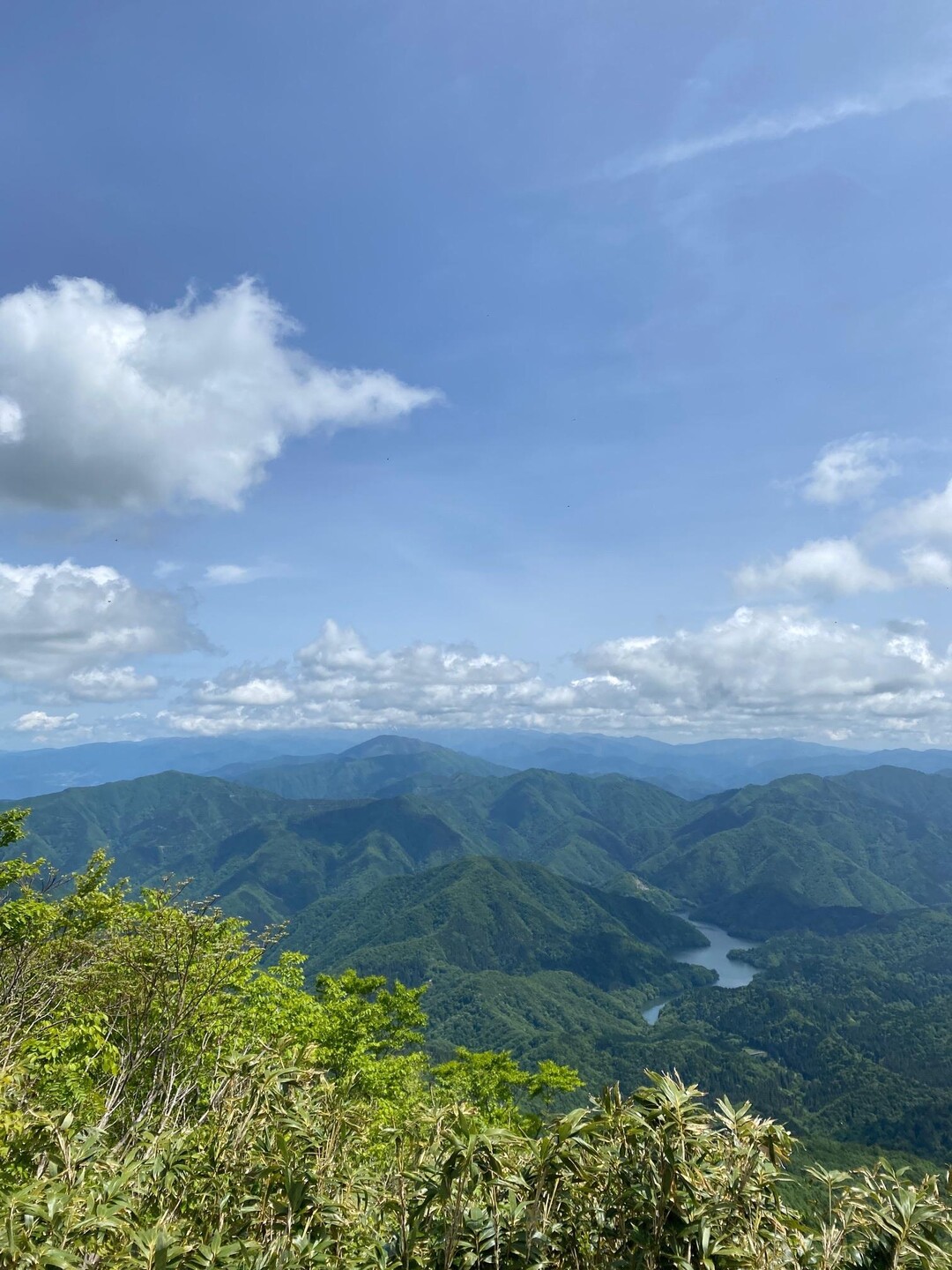 平家平で森林浴 そして姥ヶ岳へ / Baziruさんの姥ヶ岳の活動データ | YAMAP / ヤマップ