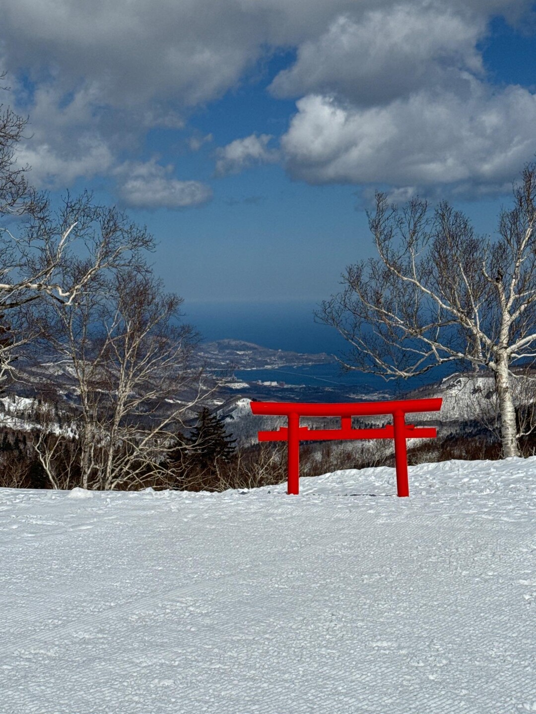 朝里岳→余市岳へ2度目の断念！ / D51(デコイチ)さんの余市岳・定山渓天狗岳の活動データ | YAMAP / ヤマップ