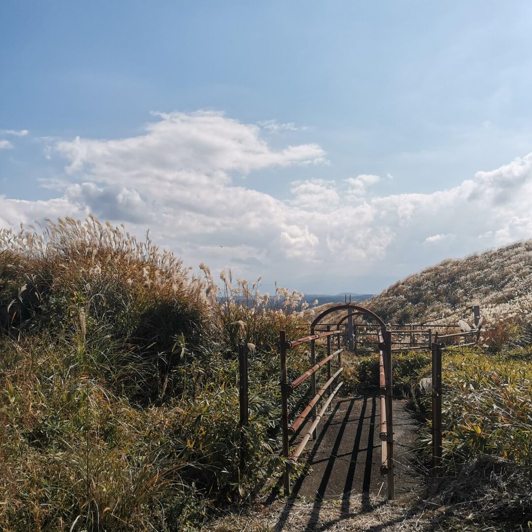 kokiさんの投稿したフィールドメモ | YAMAP / ヤマップ