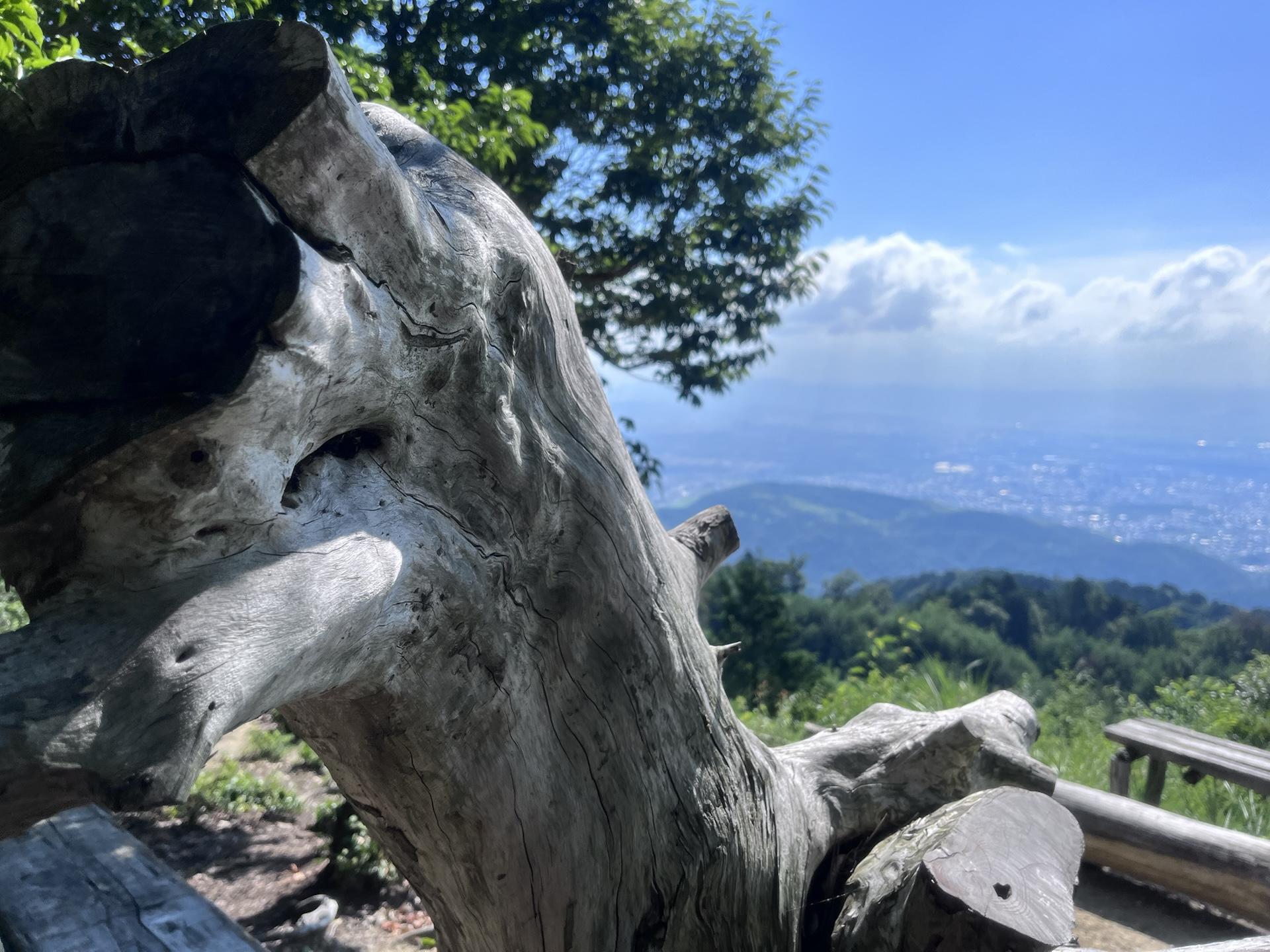 ポンポン山・釈迦岳・大沢山 / su-junさんのポンポン山・釈迦岳・小塩山・若山の活動データ | YAMAP / ヤマップ