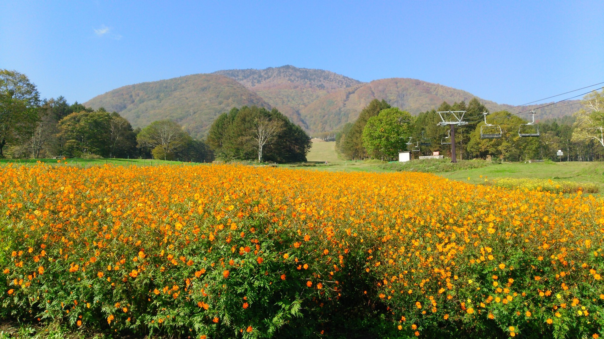 [長野出張編2014]黒姫高原4-201... / 猫息子さんのモーメント | YAMAP / ヤマップ