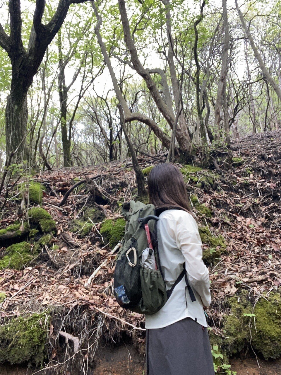 私の登山スタイル。 atelier bl... / mineさんのモーメント | YAMAP / ヤマップ