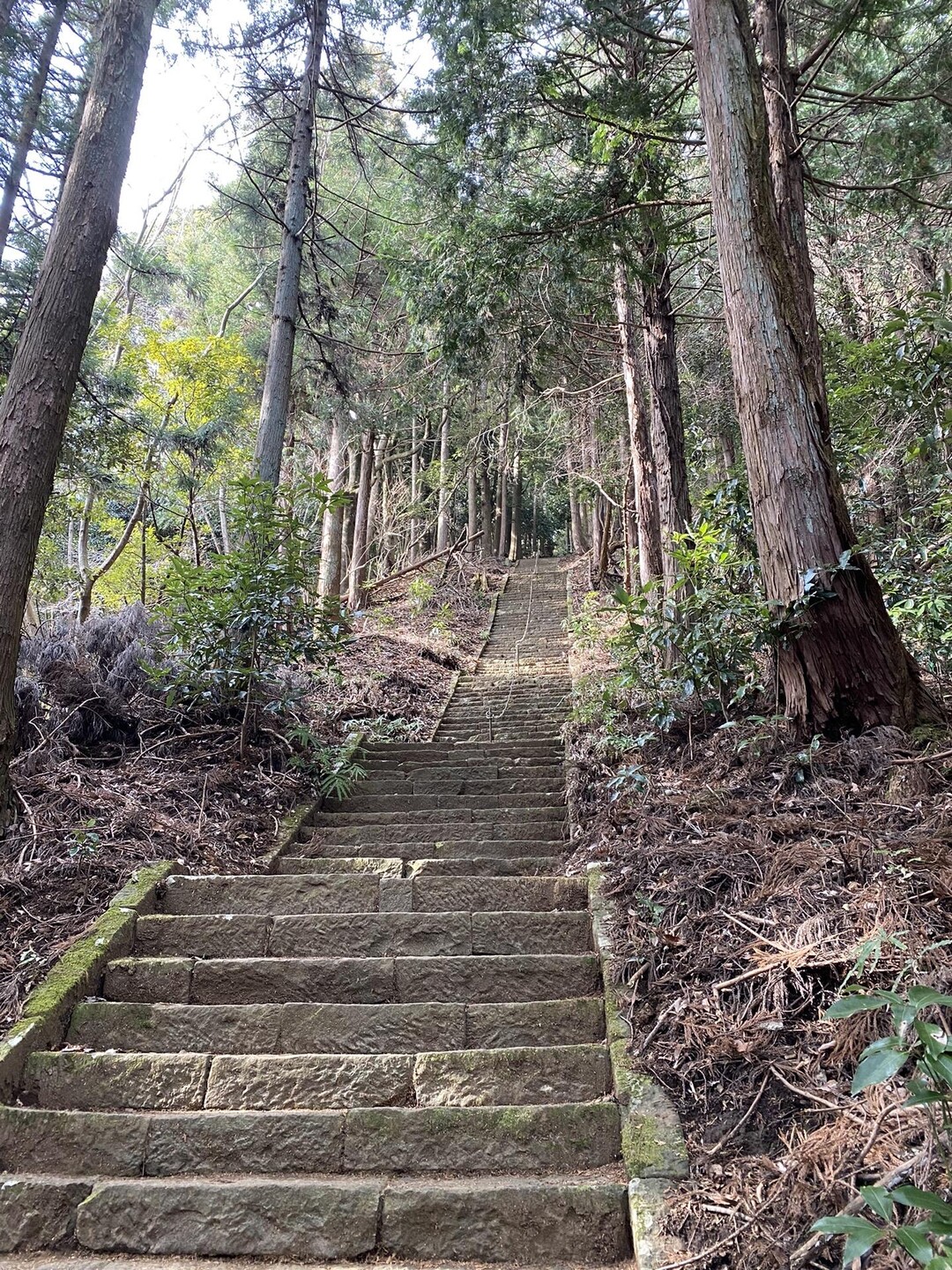 鐘ヶ嶽 / jjさんの大山の活動データ | YAMAP / ヤマップ