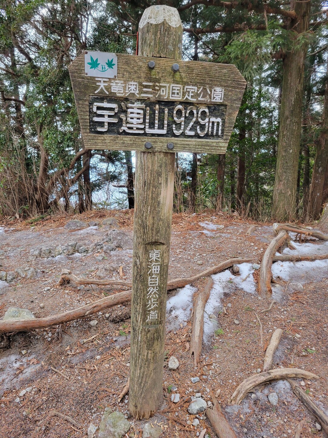 宇連山 / Kazue Andoさんの宇連山・鳳来寺山・岩古谷山の活動データ | YAMAP / ヤマップ