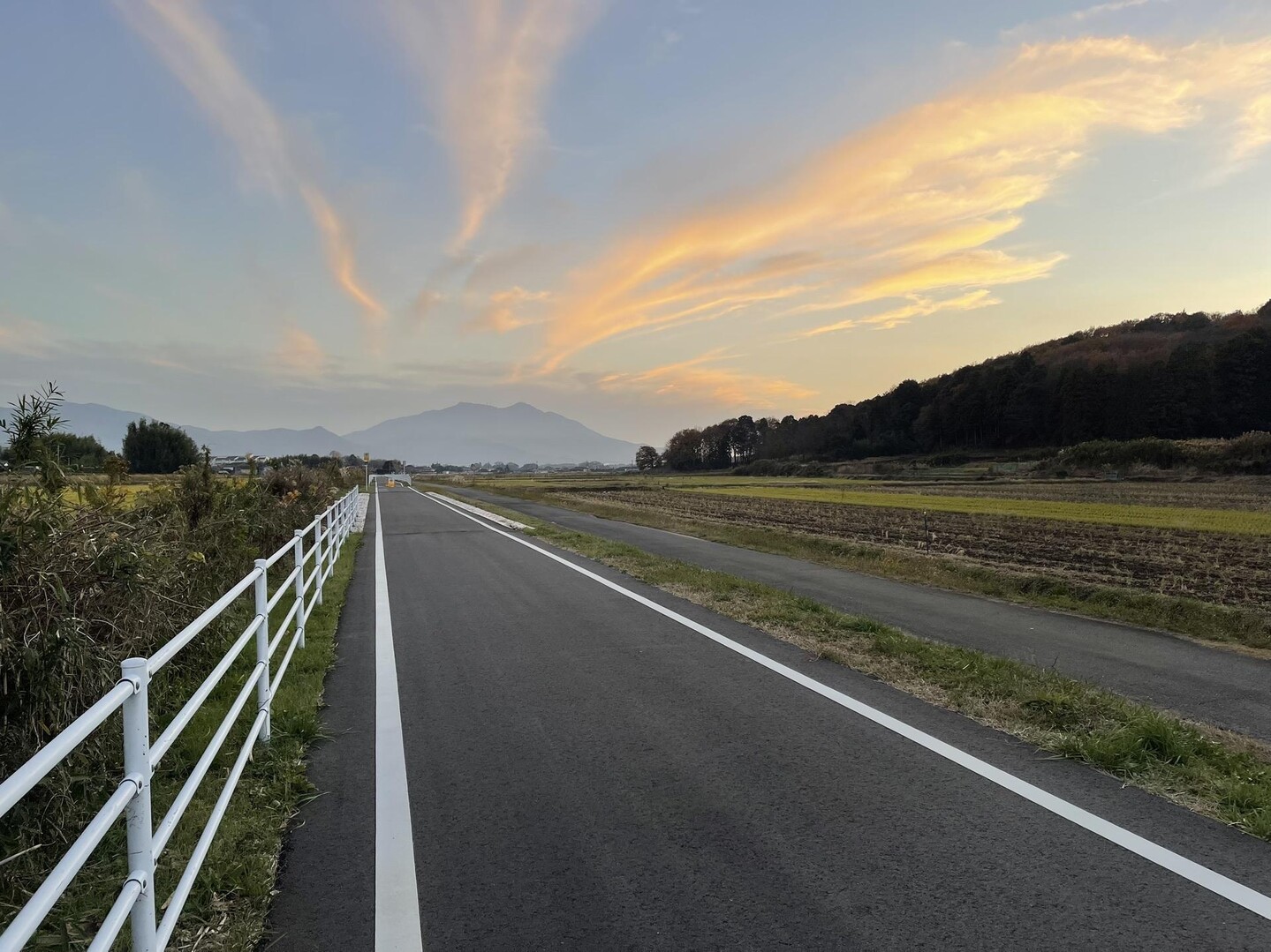 きのこ山・足尾山・丸山・加波山・燕山・雨引山・御嶽山(筑波連山)・丸山・羽田山 / U・x・U ポチ@ひよっこトレイルウォーカーさんの加波山・吾国山・難台山の活動日記 | YAMAP / ヤマップ