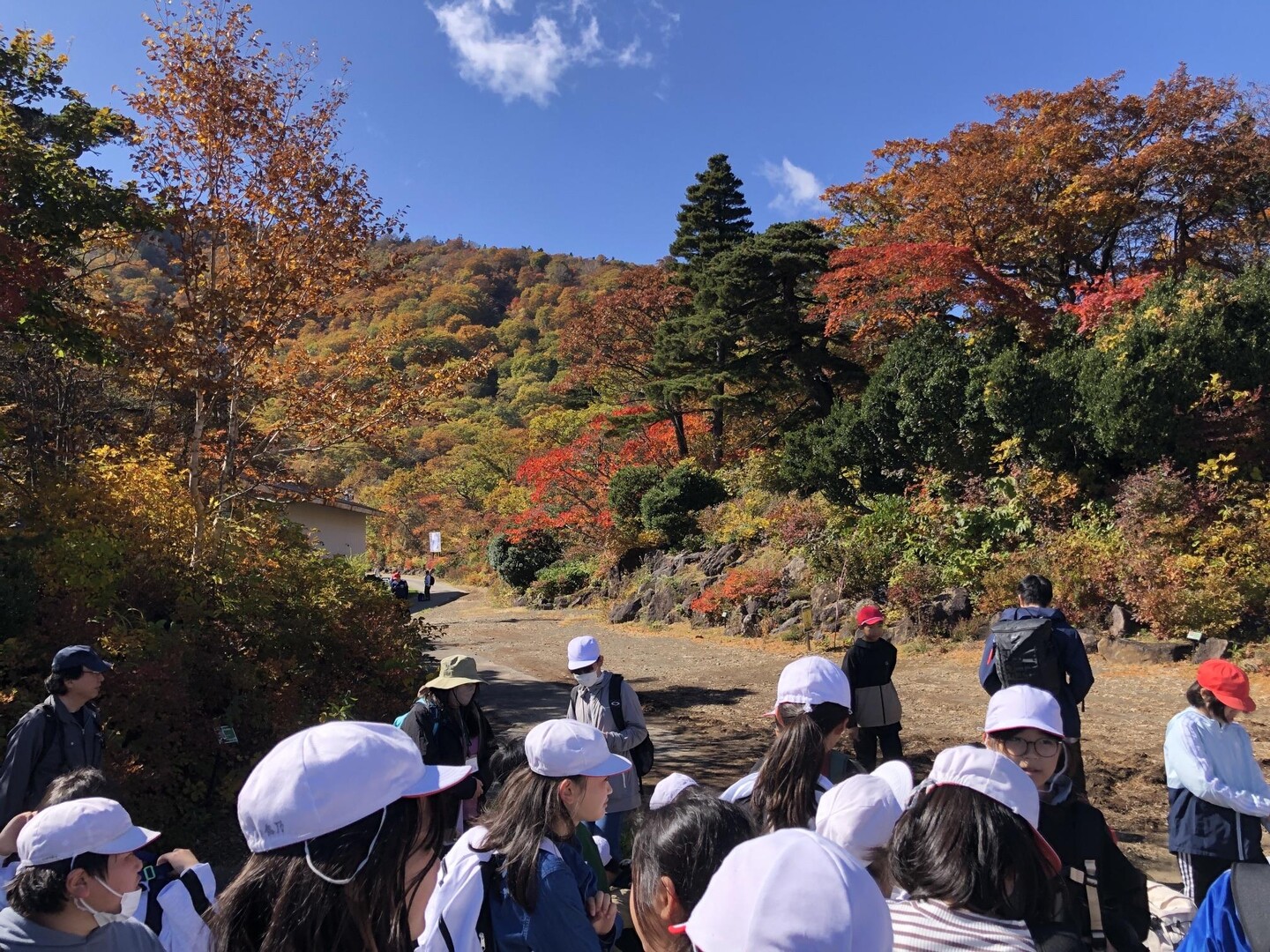 後烏帽子岳中腹白龍の滝・千年杉コース / carolさんの蔵王山・雁戸山・不忘山の活動データ | YAMAP / ヤマップ