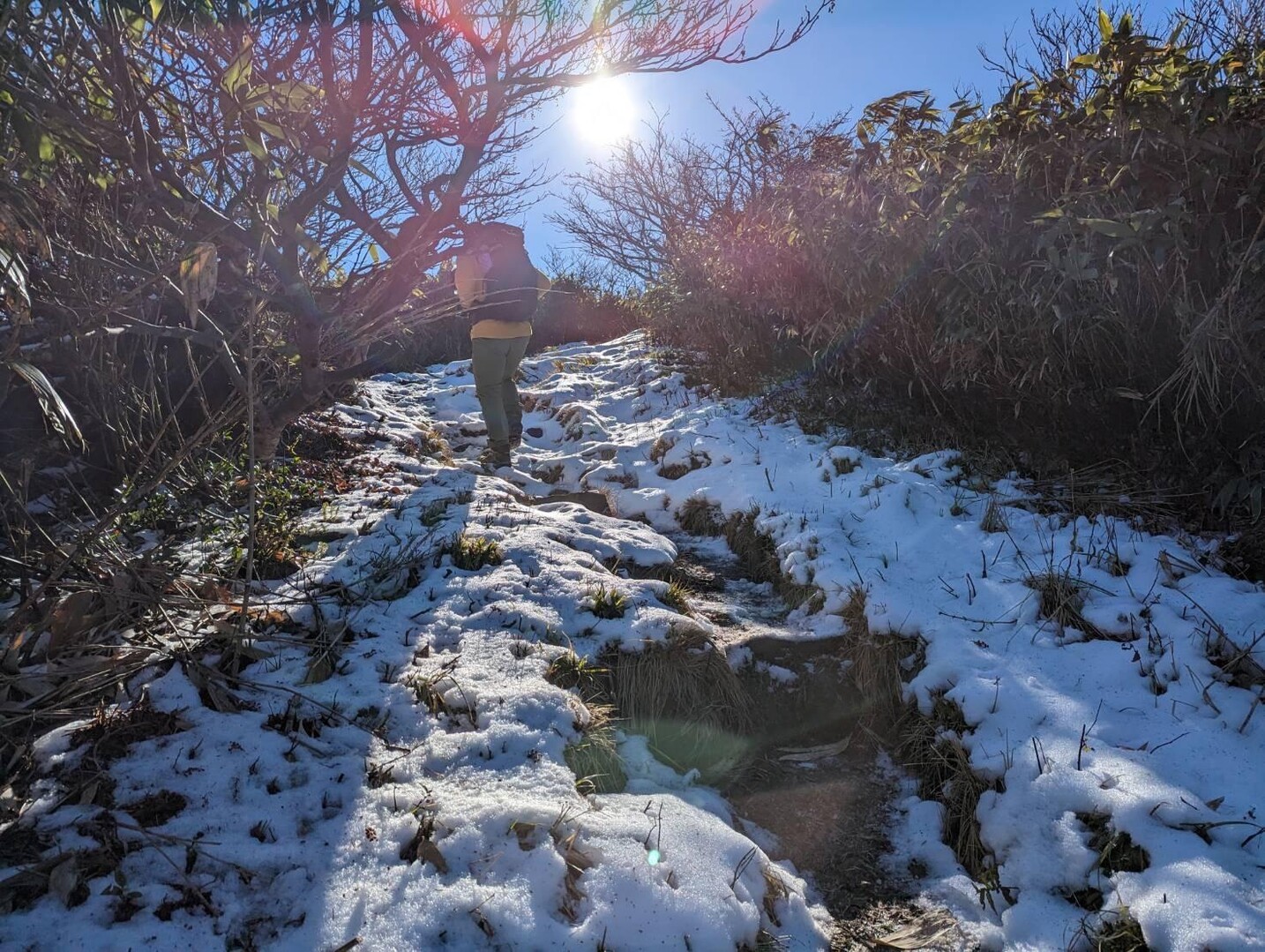 コロンブスピーク・能郷白山 / aero-yasさんの能郷白山の活動データ | YAMAP / ヤマップ