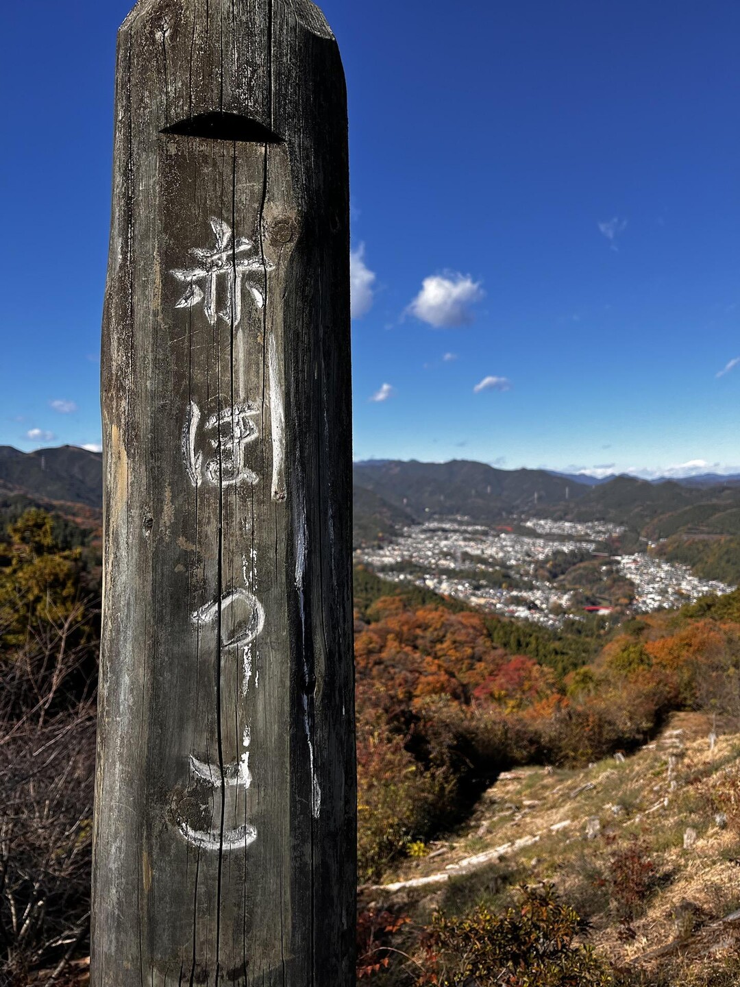 赤ぼっこ・要害山 / AMさんの赤ぼっこの活動データ | YAMAP / ヤマップ