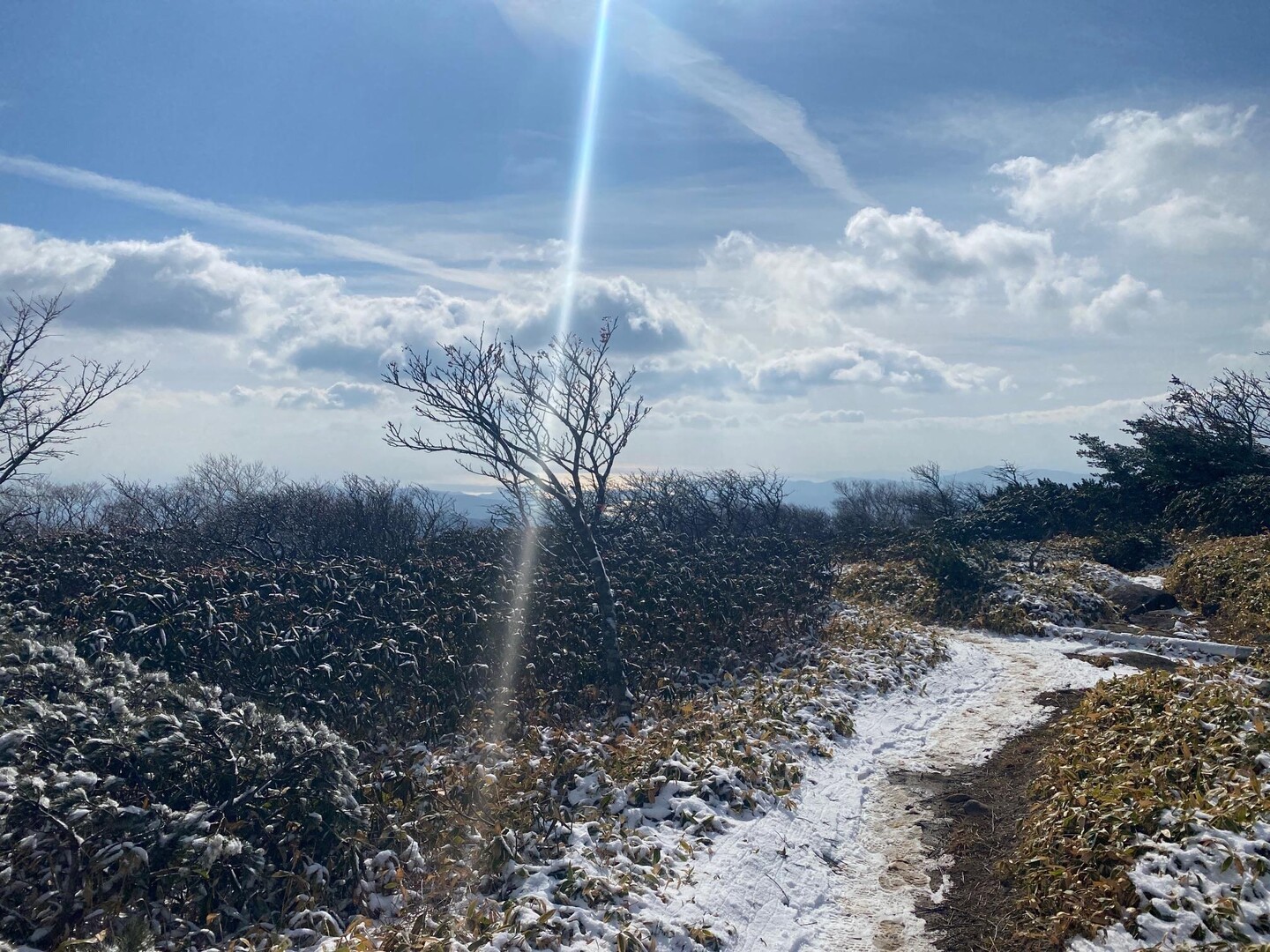 五葉山・五葉山(日の出岩) / namさんの五葉山・愛染山の活動データ | YAMAP / ヤマップ