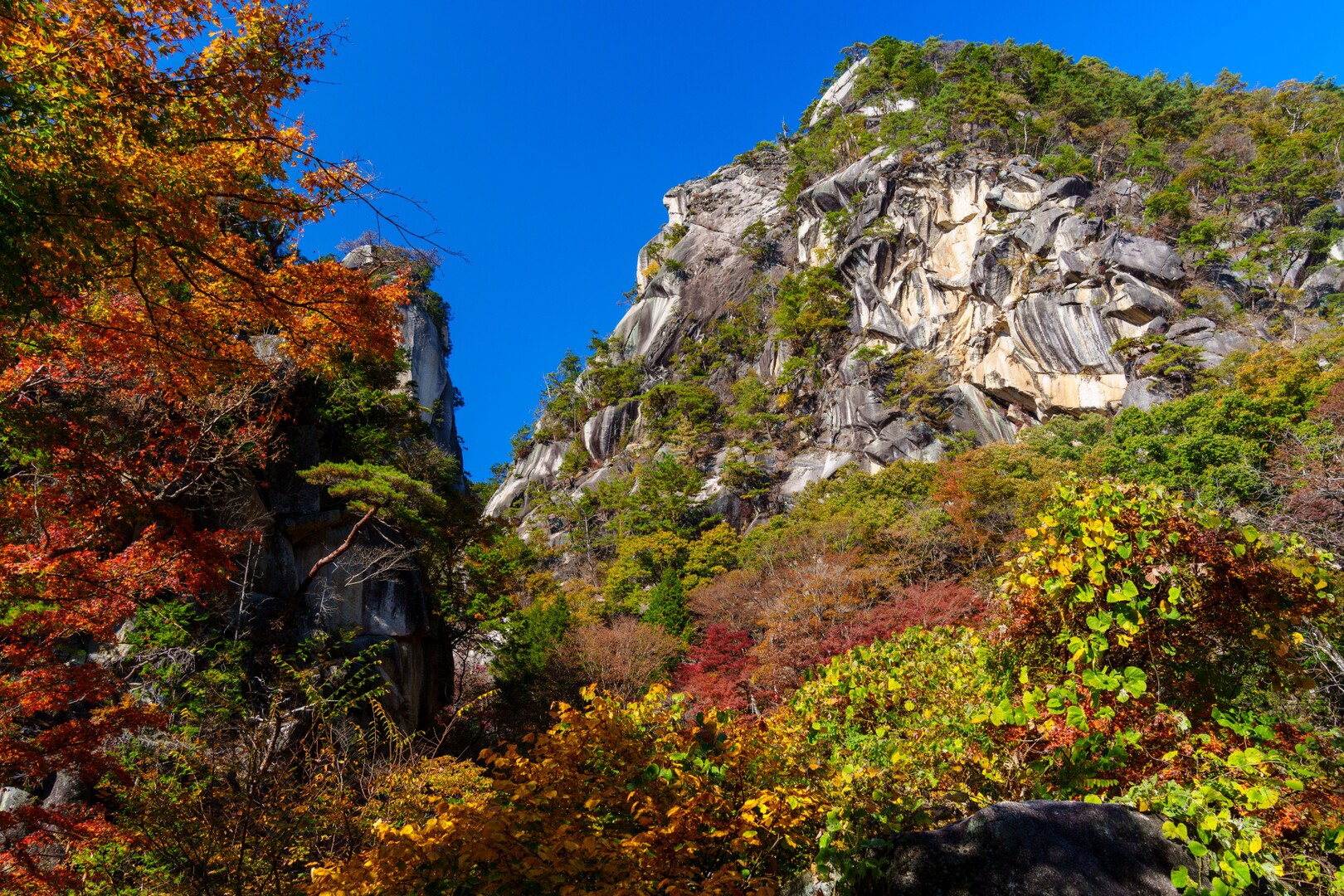 弥三郎岳（羅漢寺山） / Masa.Rさんの弥三郎岳（羅漢寺山）の活動データ | YAMAP / ヤマップ