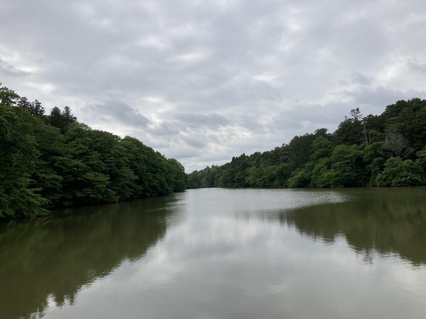 こんにちは^ ^ 今日は空一面ねずみ色... / OBsunさんのモーメント | YAMAP / ヤマップ