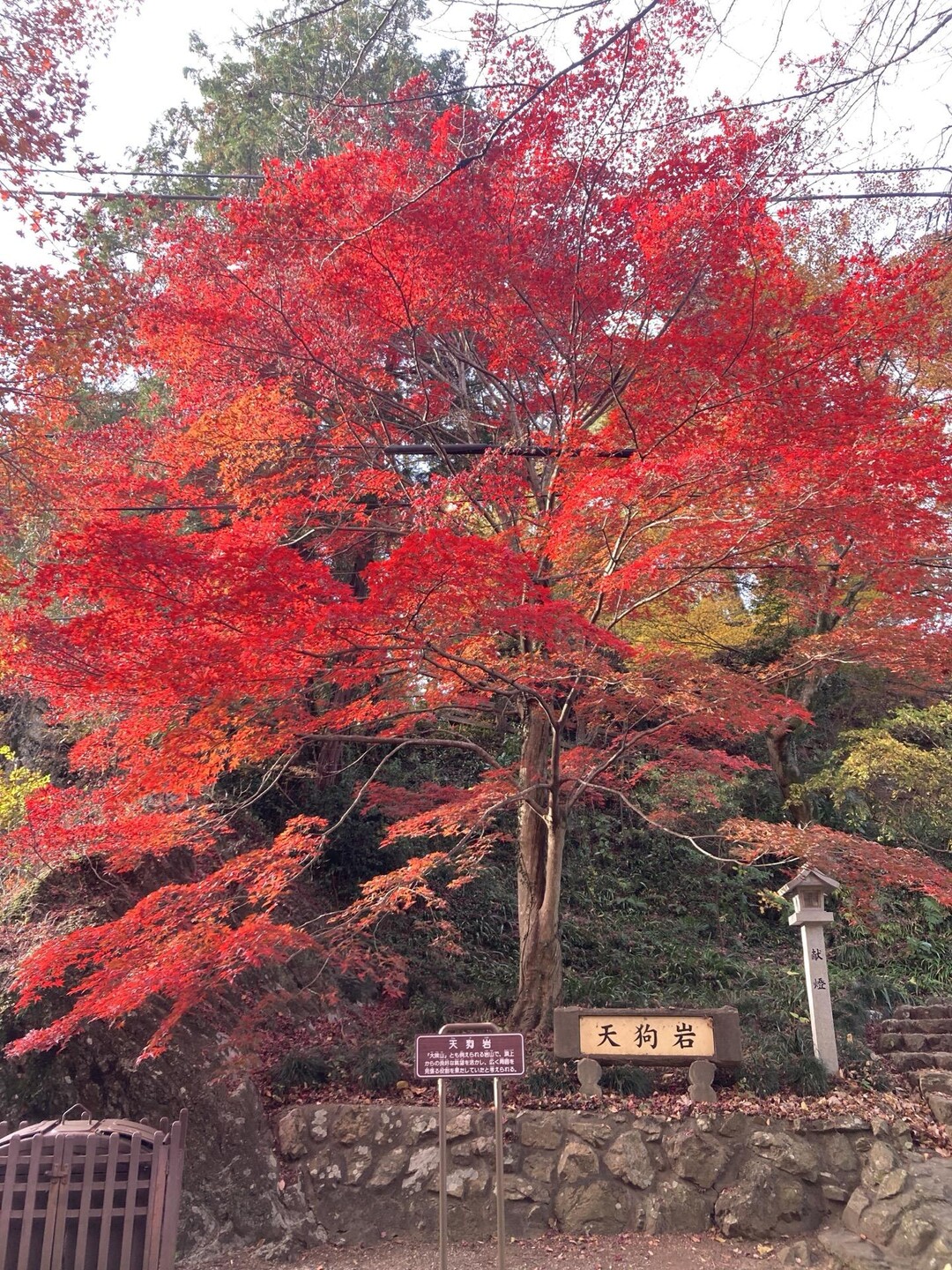 ㊗️300座🙌唐沢山他10ピークget‼️ / かつさんの太平山・晃石山・唐沢山の活動データ | YAMAP / ヤマップ