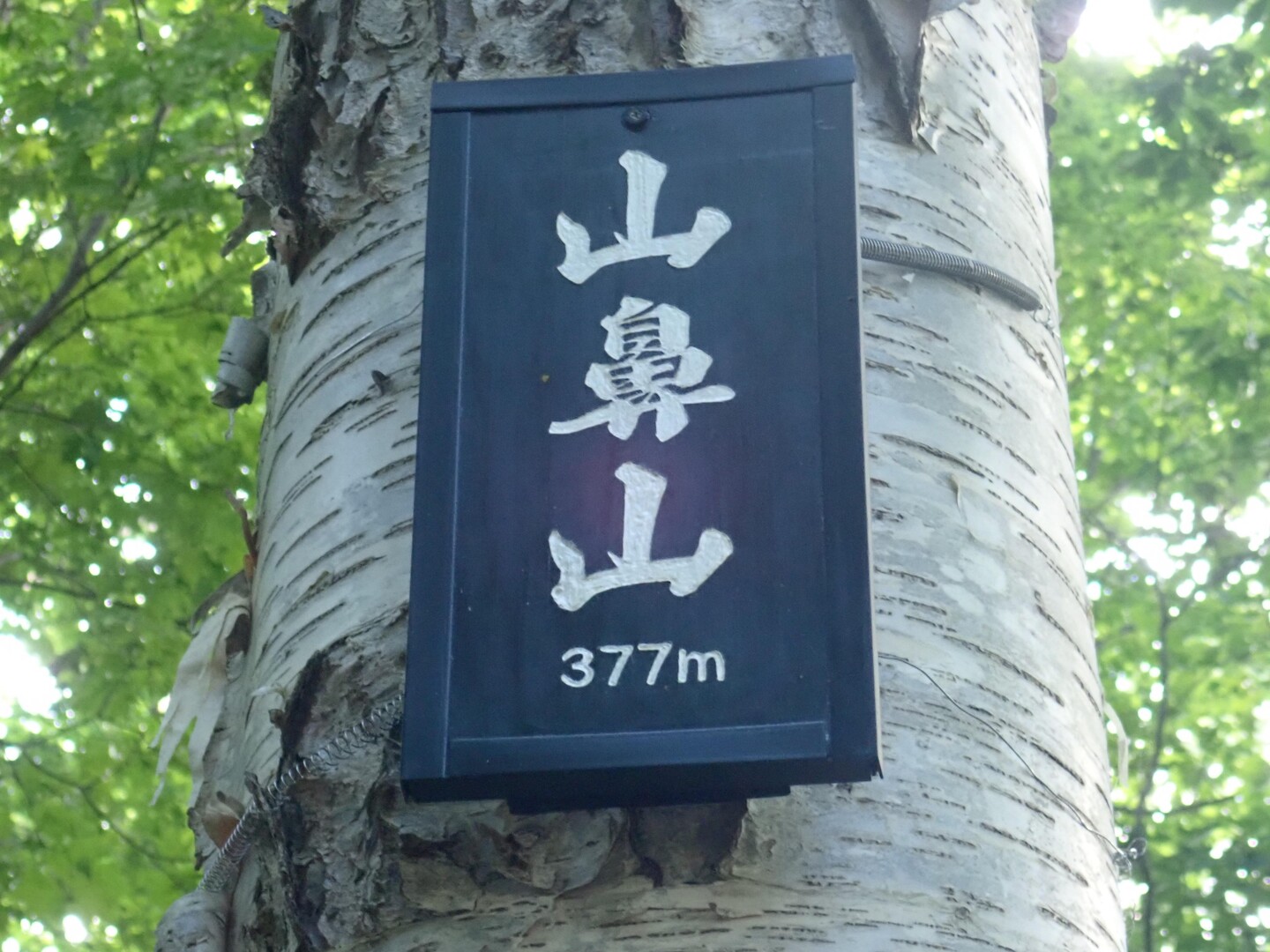 祝、山名登録!! 山鼻山・藻岩山 / Syoさんの札幌市の活動データ | YAMAP / ヤマップ