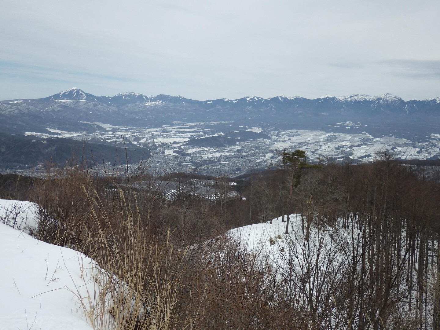 守屋山東峰・守屋山中嶽・守屋山・守屋山前嶽 / RYZさんの守屋山の活動データ | YAMAP / ヤマップ