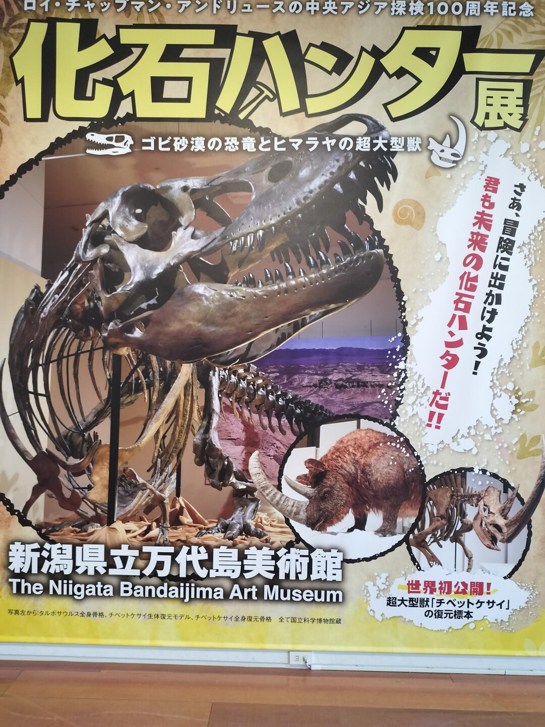 『化石ハンター展』 （朱鷺メッセ） 子ど... / nontan さんのモーメント | YAMAP / ヤマップ
