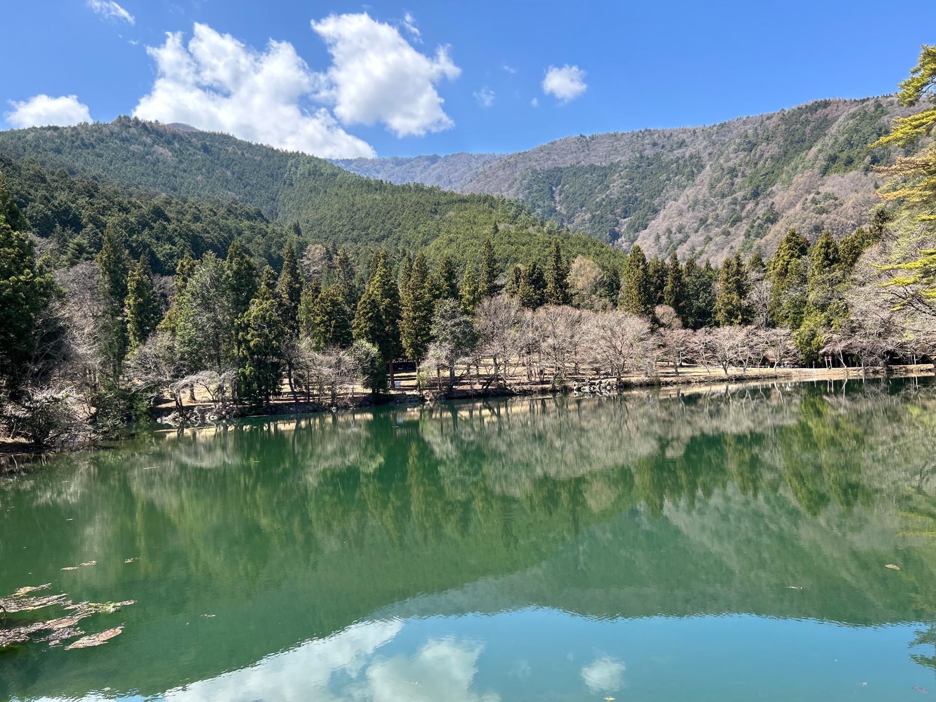 伊奈ケ湖散策 20250412 / あきTRさんのウォーキングの活動データ | YAMAP / ヤマップ