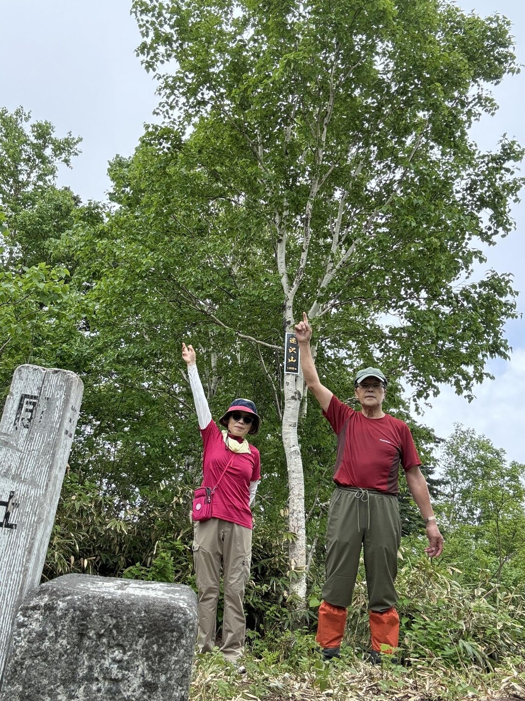 初めて行く迷沢山 山菜採り / D51(デコイチ)さんの迷沢山の活動データ | YAMAP / ヤマップ
