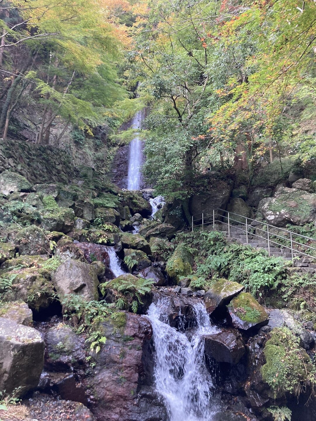 三方山・北尾根P826峰 / バブさんの養老山・笙ヶ岳・三方山の活動データ | YAMAP / ヤマップ