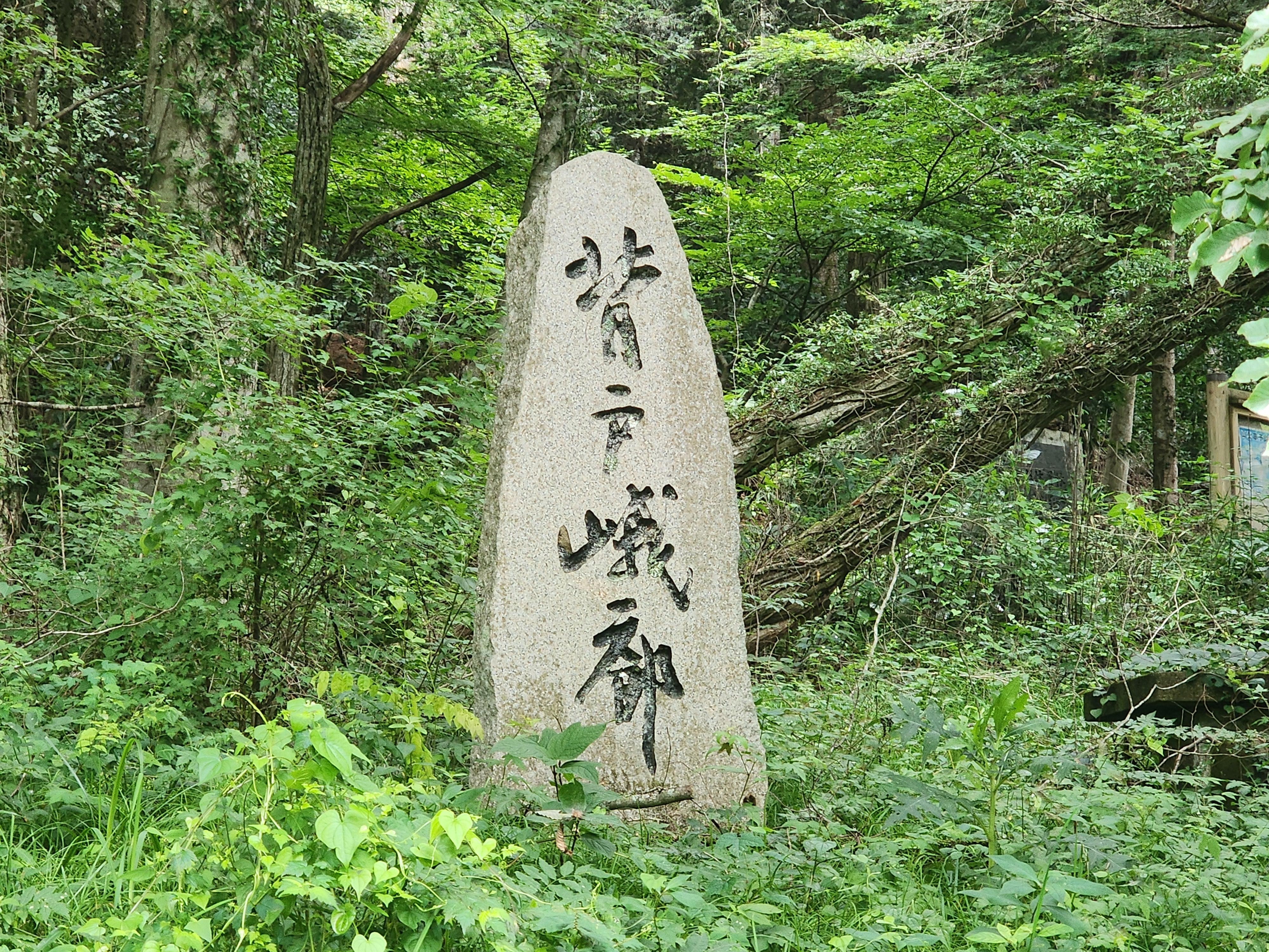 夏井川渓谷/背戸峨廊WW！ / すみれさんの二ッ箭山・三森山・猫鳴山の活動データ | YAMAP / ヤマップ