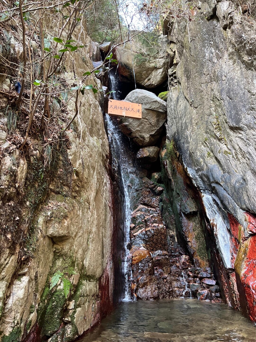 六甲山・大月地獄谷 2024-02-03 / kenji_osaka.japanさんの六甲山・長峰山・摩耶山の活動データ | YAMAP / ヤマップ