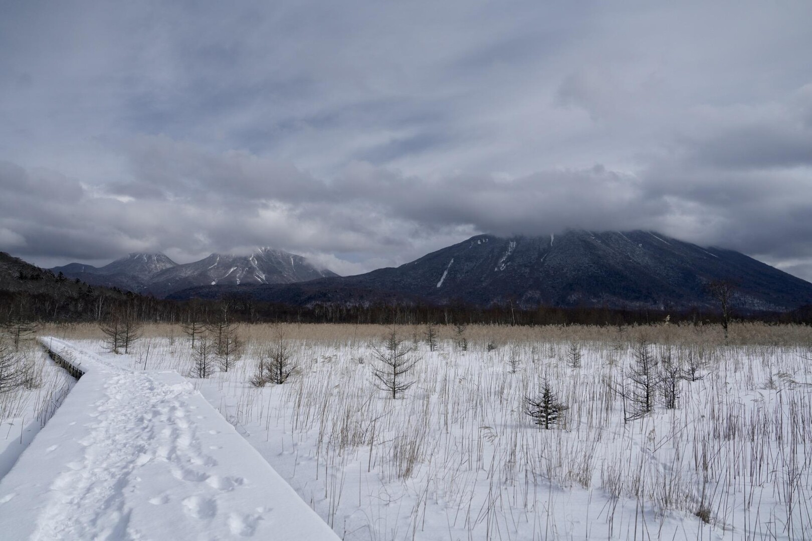 奥日光ー戦場ヶ原ハイク2025-01-12 / toshi:miさんの日光白根山・五色山・錫ヶ岳の活動データ | YAMAP / ヤマップ