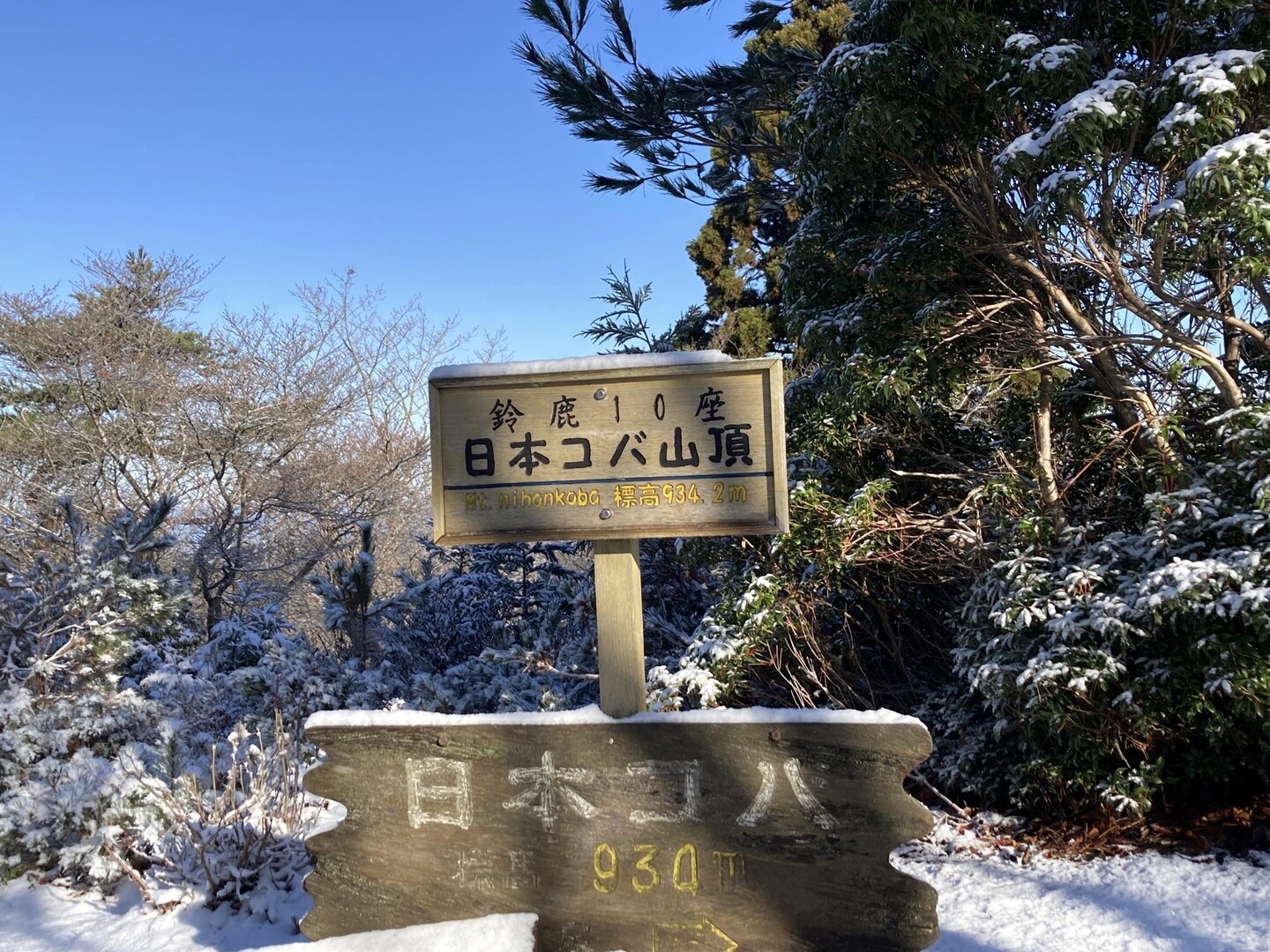 日本コバー衣掛山 / Moe8さんの日本コバの活動データ | YAMAP / ヤマップ