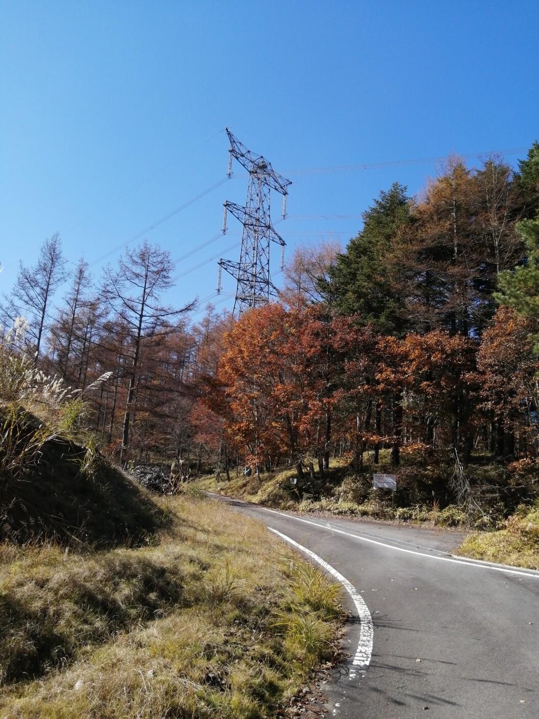 AZUさんの投稿したフィールドメモ | YAMAP / ヤマップ