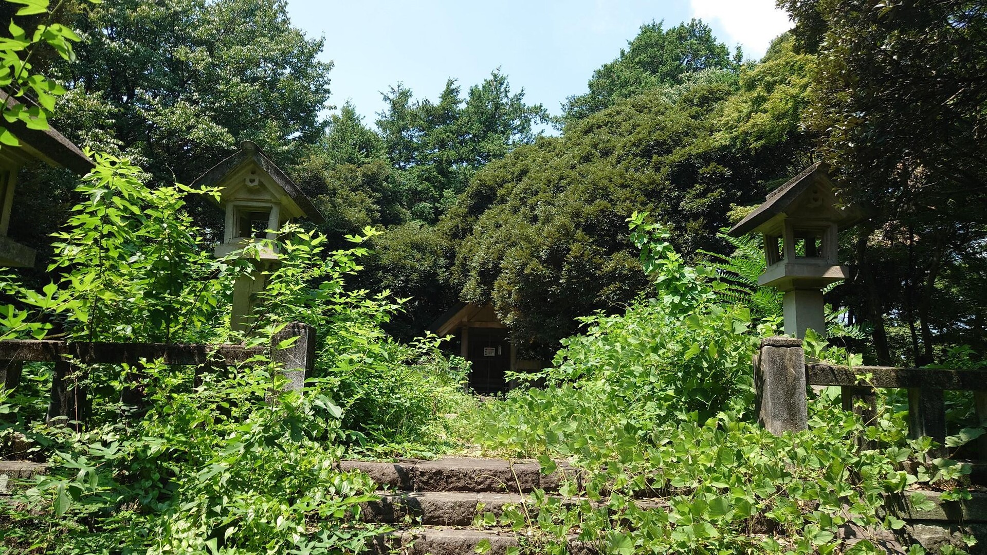 先月膝の違和感からMRIを撮ったところ骨... / ぼくさんのモーメント | YAMAP / ヤマップ