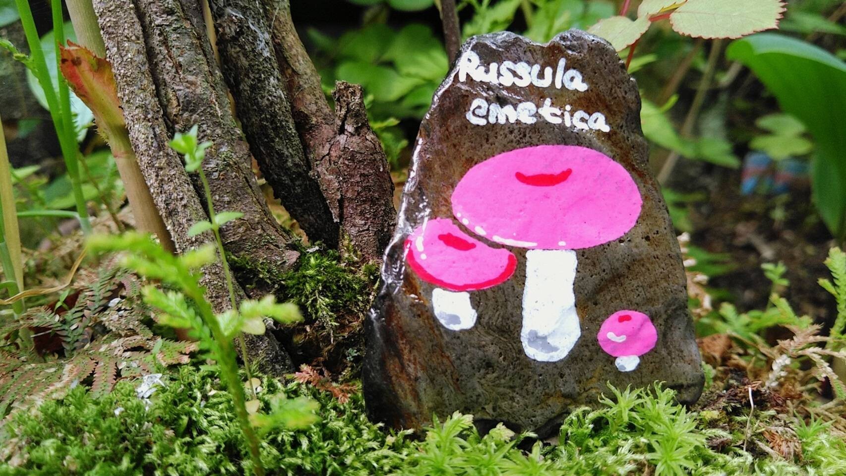 久々にキノコワロック🍄 1枚目は"... / kazさんのモーメント | YAMAP / ヤマップ