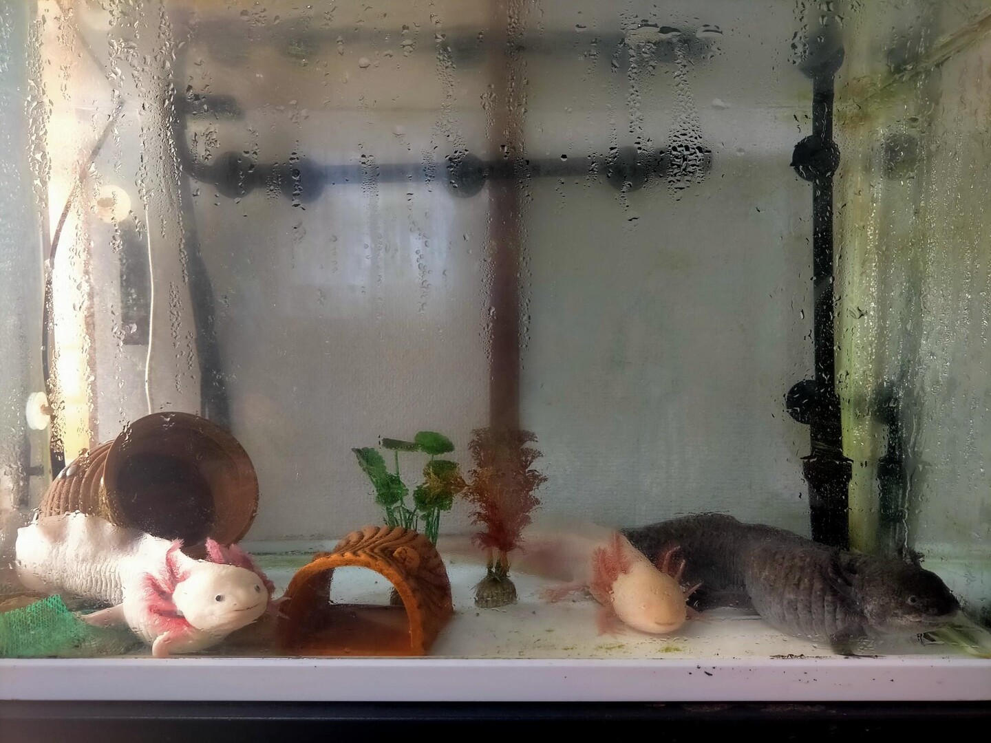 2023/9/18 9月でもまだまだ暑い... / まさやんさんのモーメント | YAMAP / ヤマップ