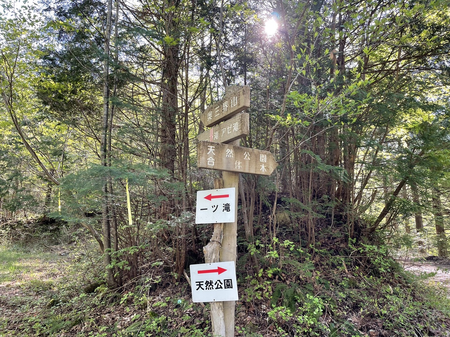 osamさんの投稿したフィールドメモ | YAMAP / ヤマップ