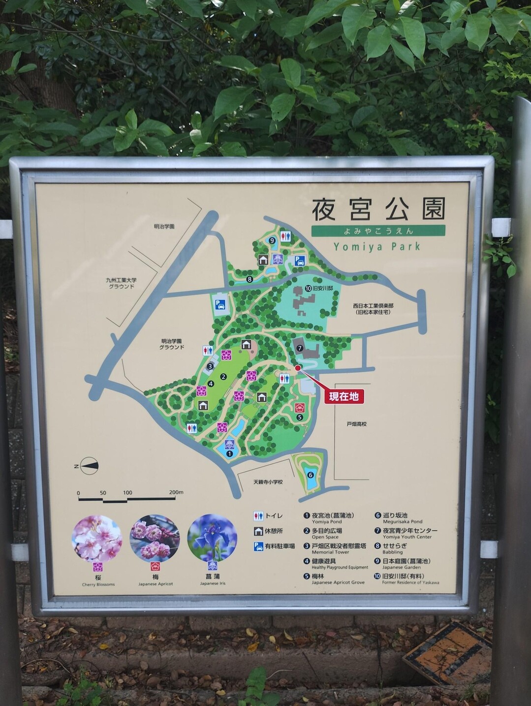 日曜日の午前中に戸畑区の夜宮公園と金比羅... / Romiさんのモーメント | YAMAP / ヤマップ