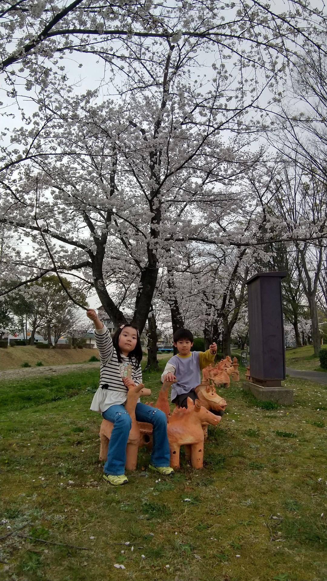 2024.4.6(土)孫と🌸お花見🌸... / Kazz1950さんのモーメント | YAMAP / ヤマップ
