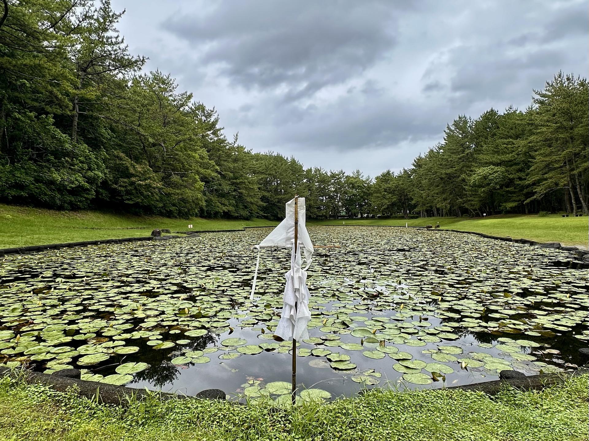 城山☔️鬼付女峰☔️宮崎市民の森🌳 / MiMiさんの宮崎市の活動データ | YAMAP / ヤマップ