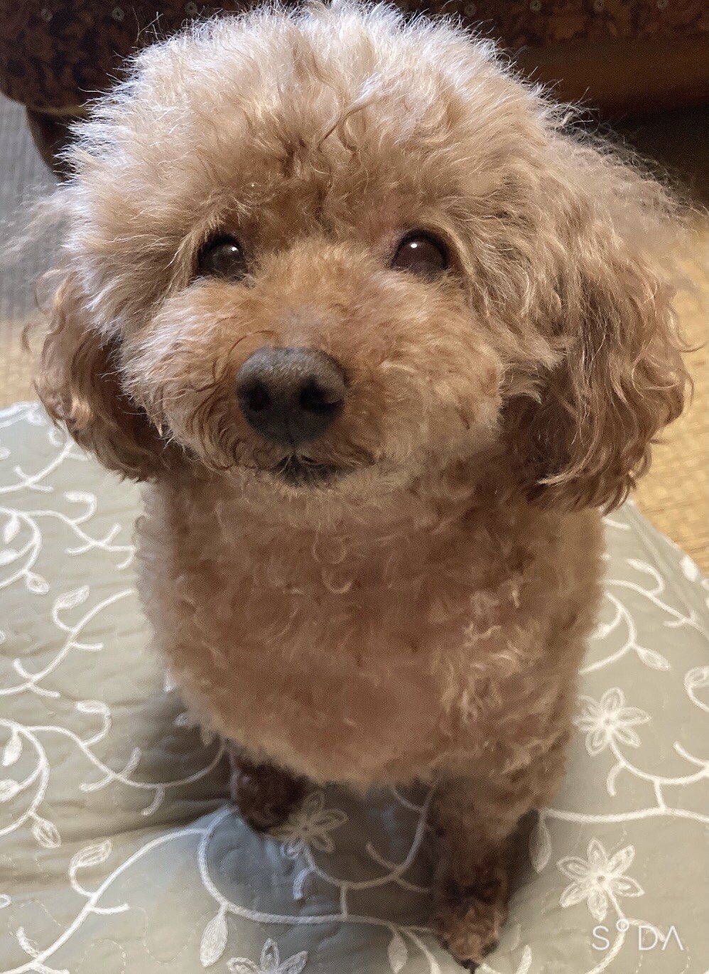 maxのページ | YAMAP / ヤマップ