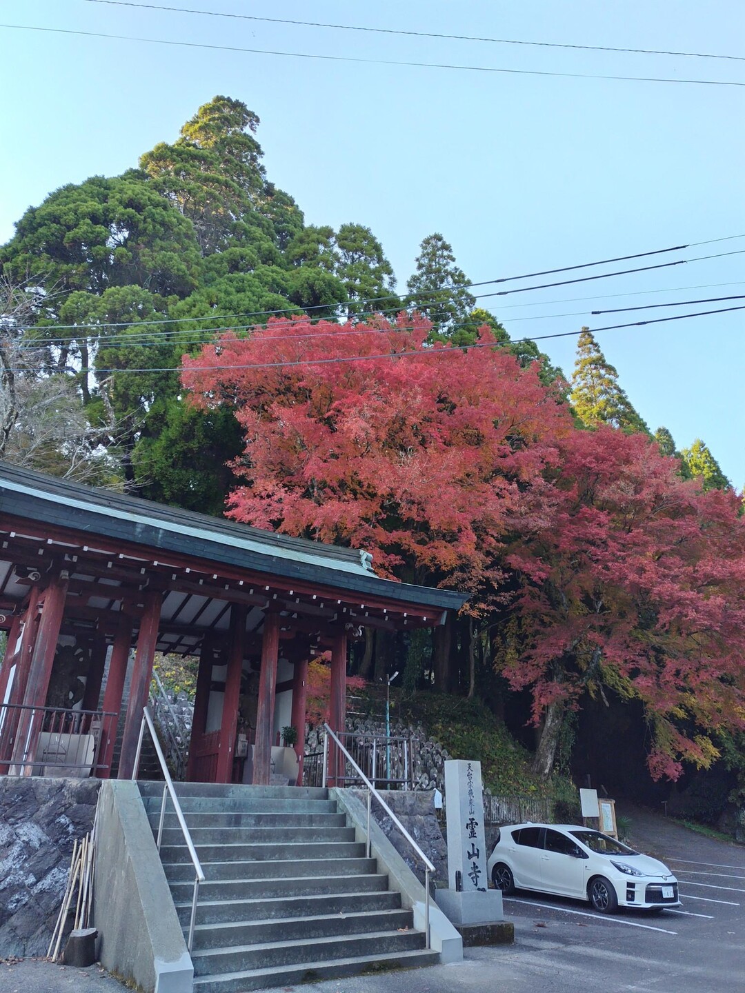 11-22 飛来山・霊山 / Andyさんの障子岳・霊山・飛来山・本宮山の活動データ | YAMAP / ヤマップ
