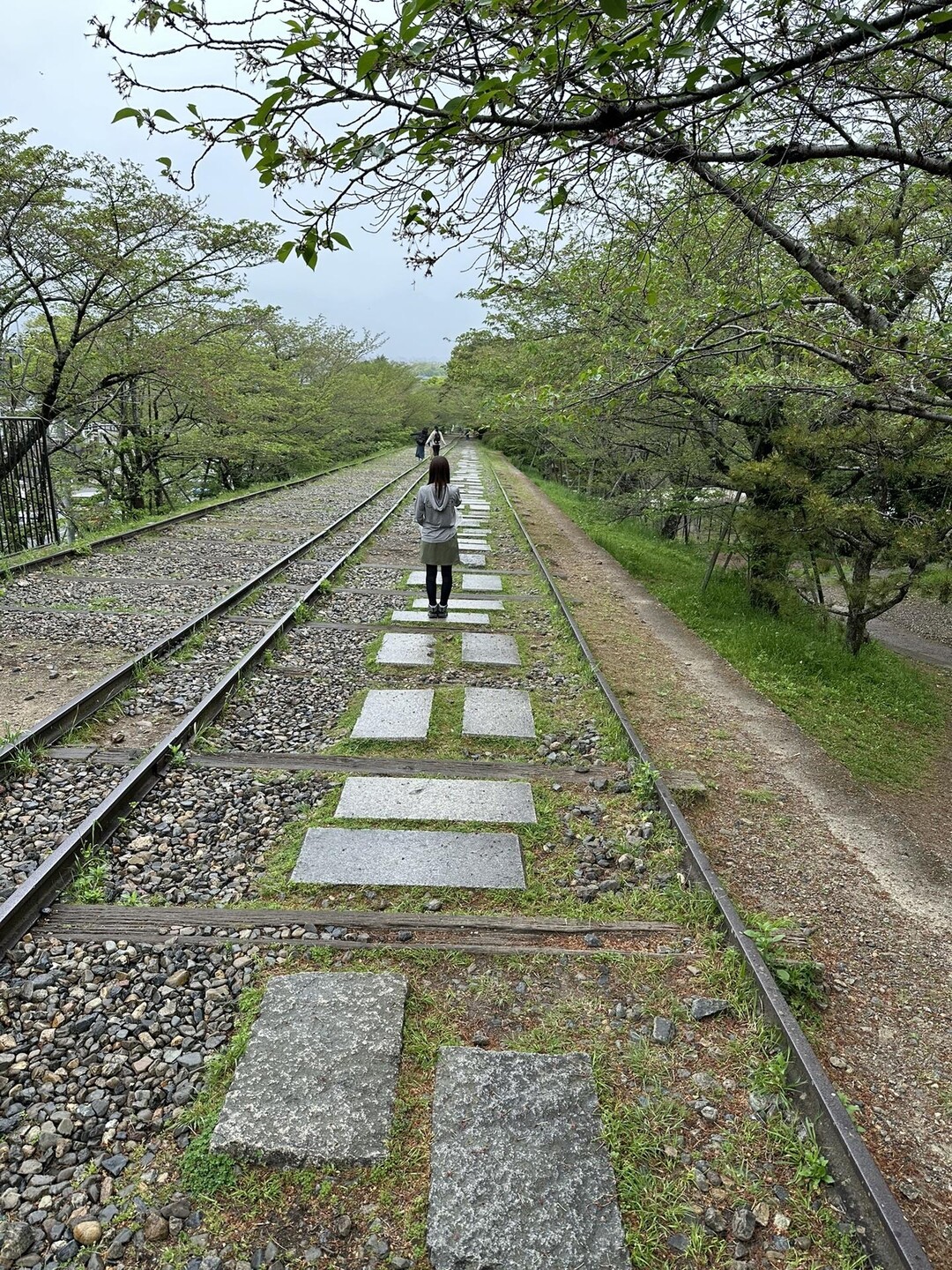 雨の中☔️京都一周トレイル 東山コース 途中撤退💧 / MINAMIさんの京都一周トレイルの活動データ | YAMAP / ヤマップ
