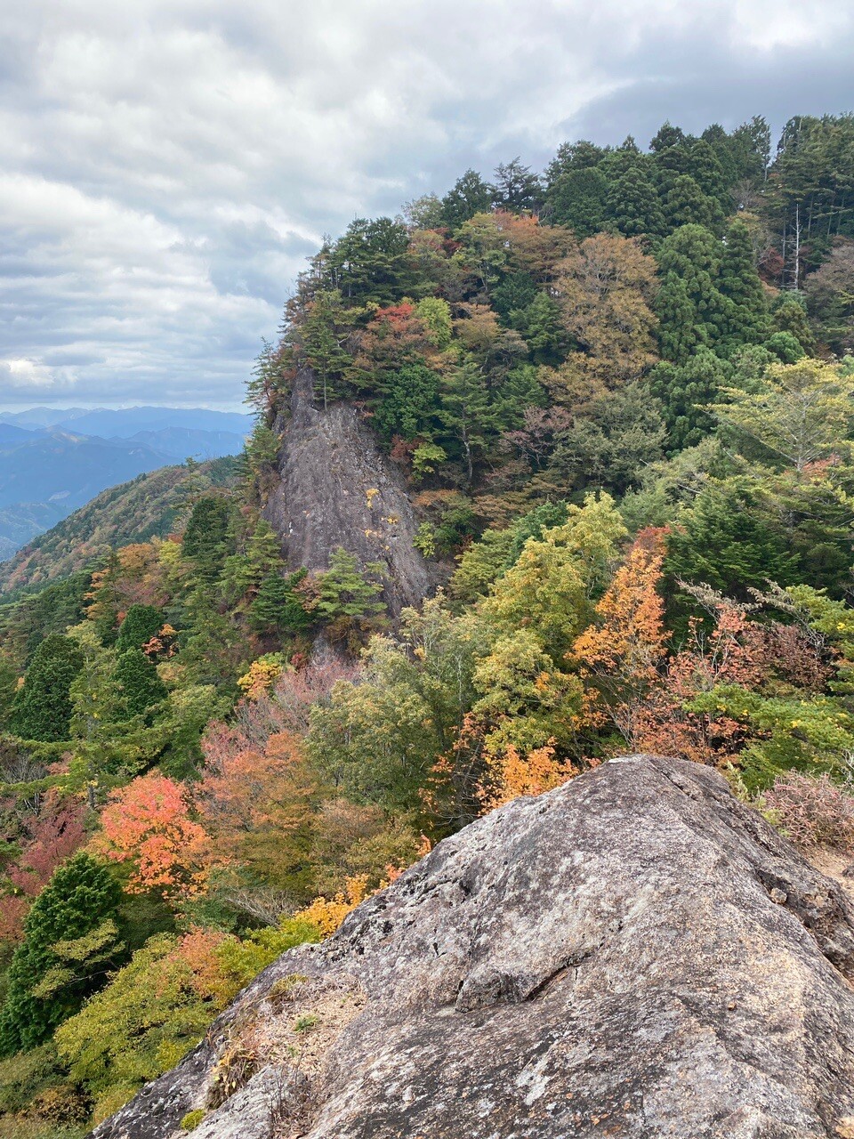 貼り紙に弩級と☺️ 奥三河のジャンダルムこと 平山明神山 / Milkyさんの宇連山・鳳来寺山・岩古谷山の活動日記 | YAMAP / ヤマップ