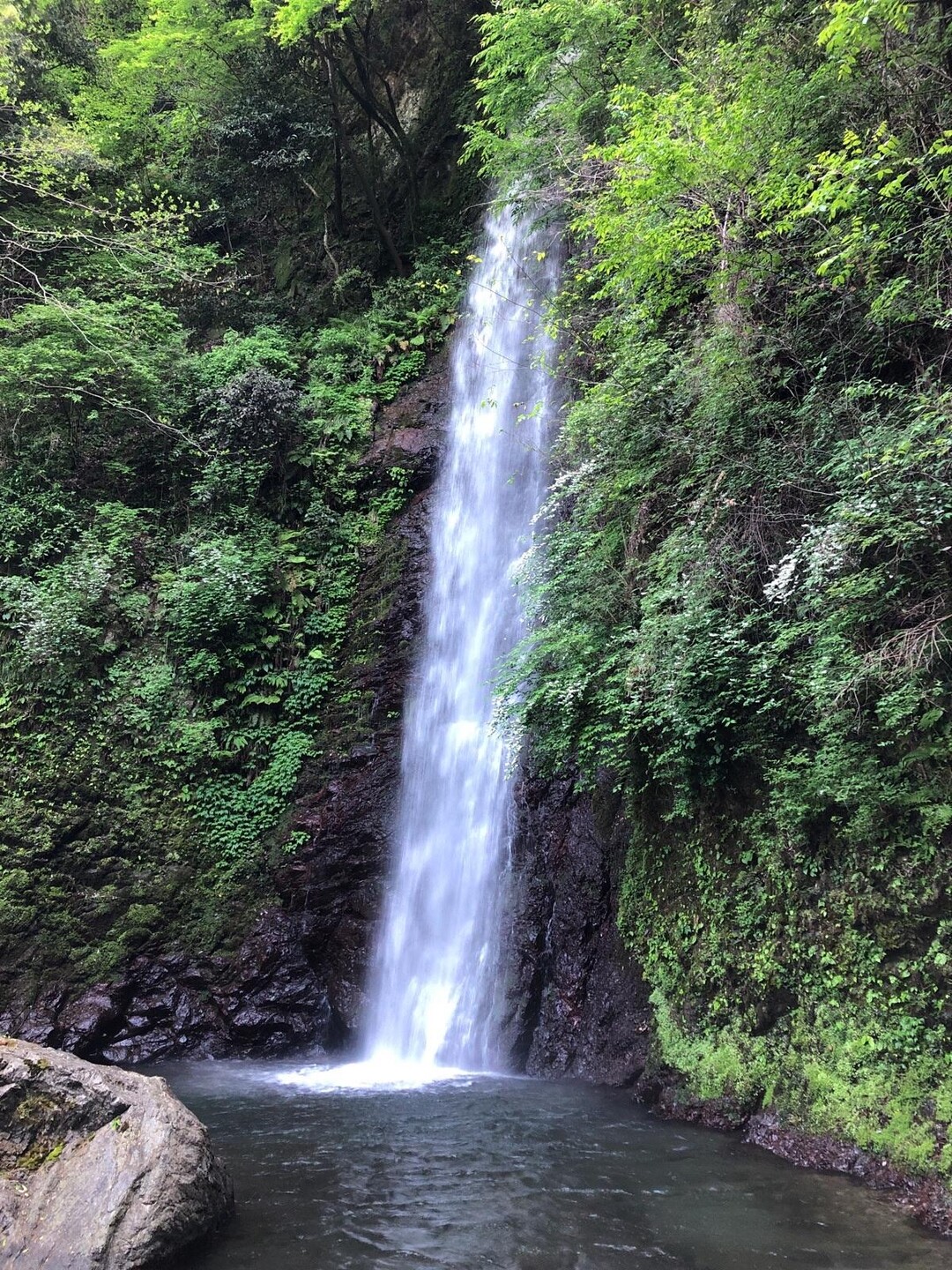 最後の養老山地縦走TK3（3/3） / SAGさんの養老山・笙ヶ岳・三方山の活動データ | YAMAP / ヤマップ
