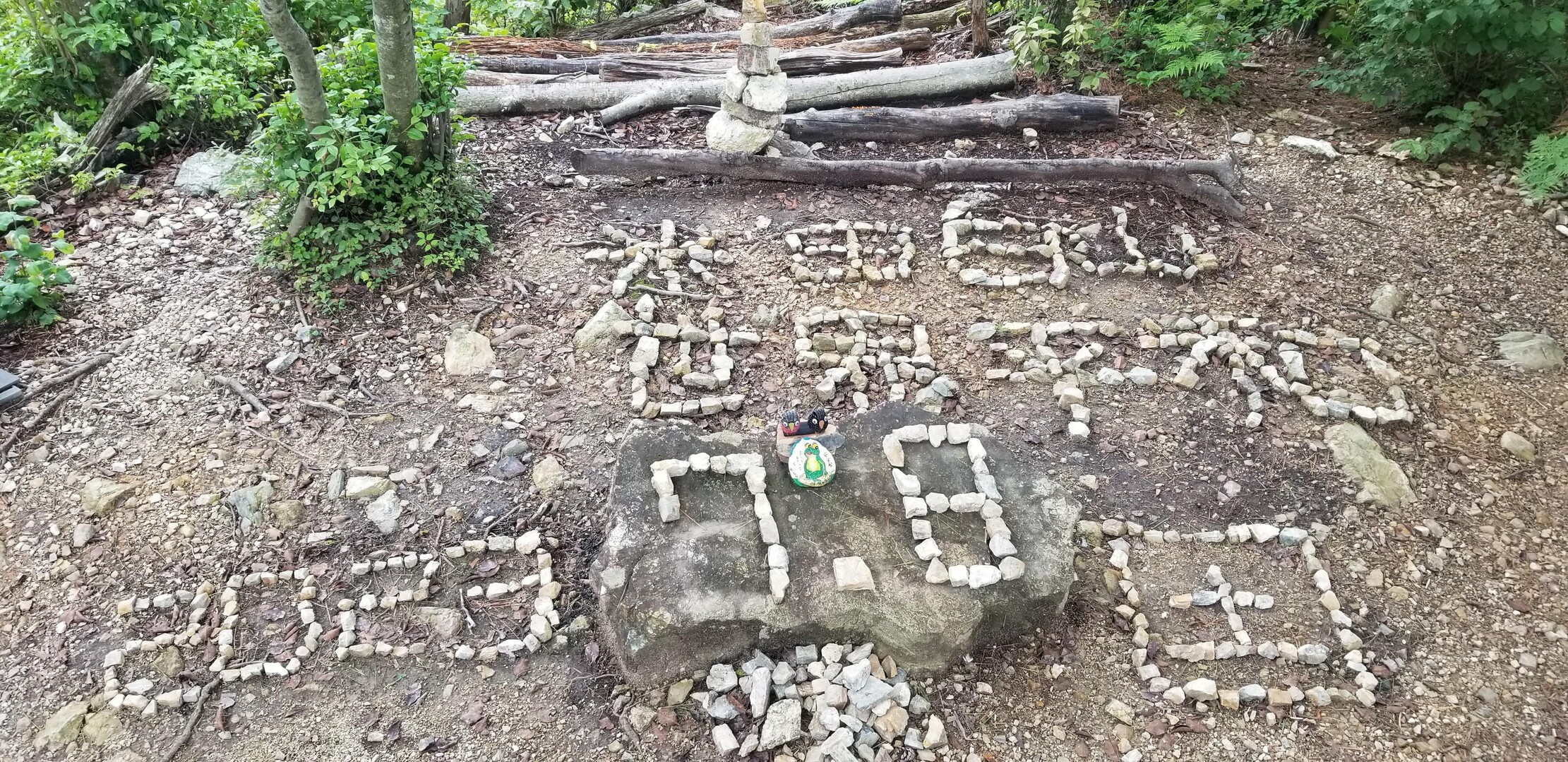 米田白山🍚 💪 / fuku🐤fukuさんの米田白山の活動データ | YAMAP / ヤマップ