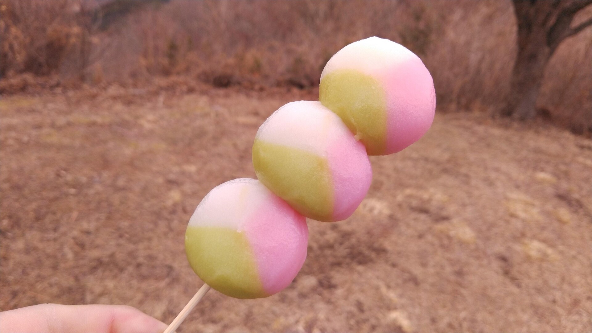 病み上がり！滝富士！ / kohirouさんの滝富士の活動データ | YAMAP / ヤマップ