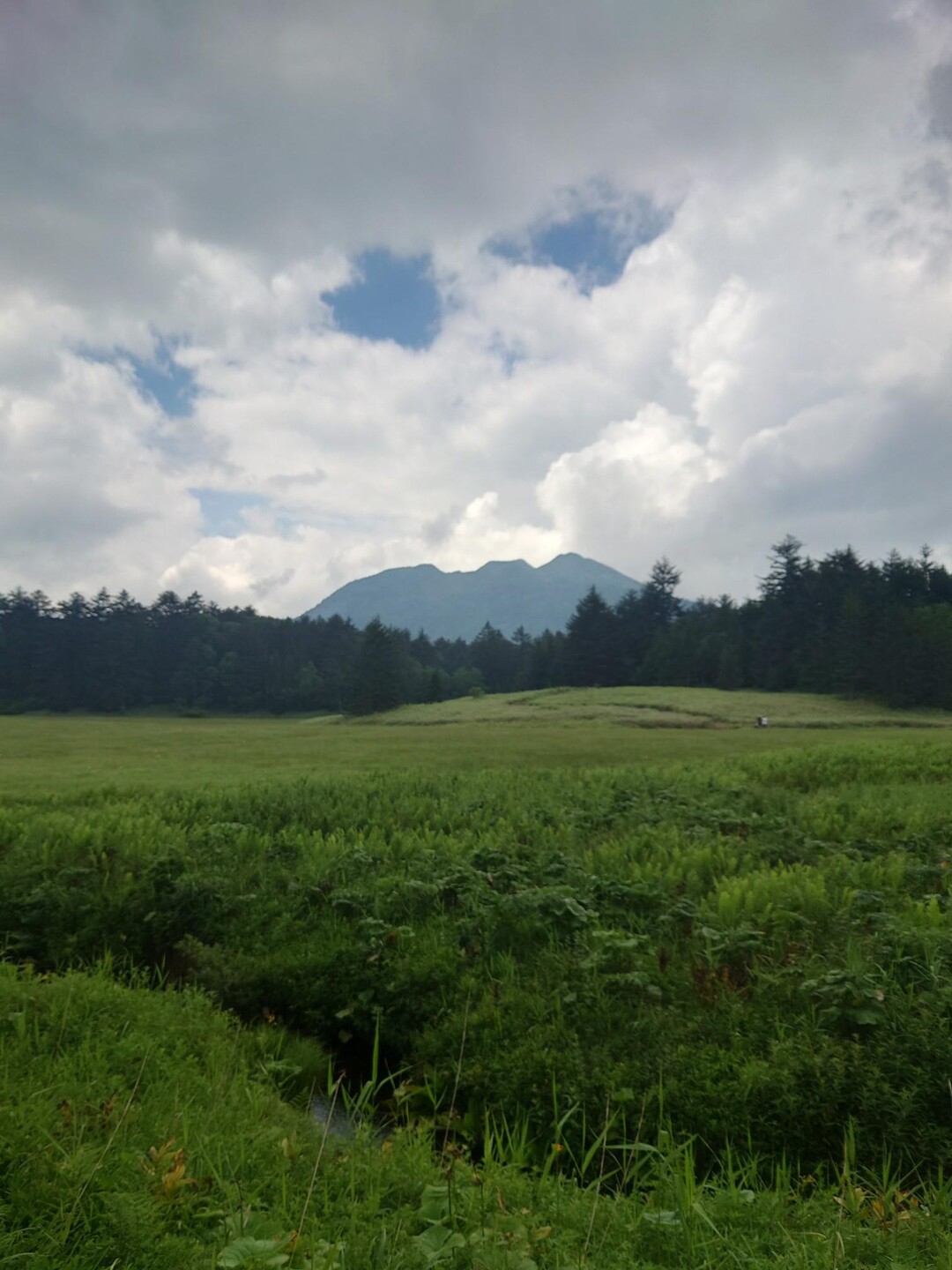 BSN大塩アナと行く尾瀬トレッキングツアー / ko1さんの尾瀬・燧ヶ岳の活動日記 | YAMAP / ヤマップ