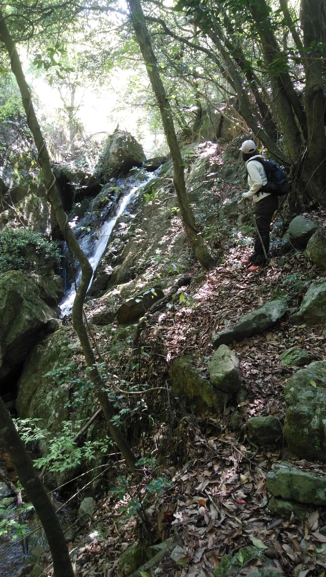 5月10日･久しぶりの・熊山P～金山コー... / リキさんさんのモーメント | YAMAP / ヤマップ