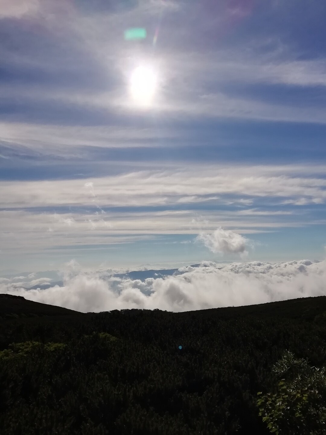 数年ぶりの3000m級。天気にも恵まれ☀... / ごそわらさんのモーメント | YAMAP / ヤマップ