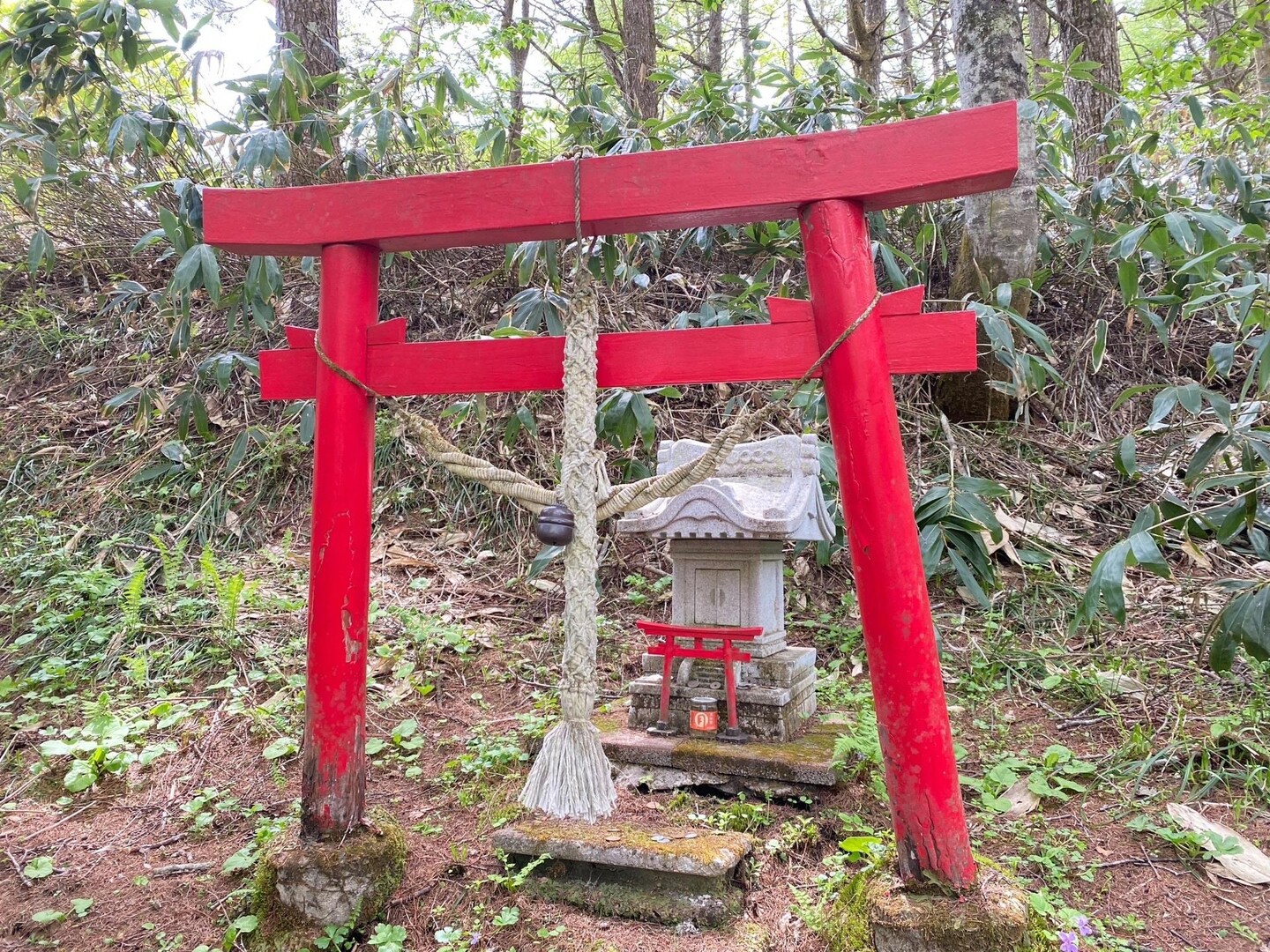 階上岳・大びらき / 加藤ukさんの階上岳（種市岳・臥牛山）・久慈平岳の活動データ | YAMAP / ヤマップ