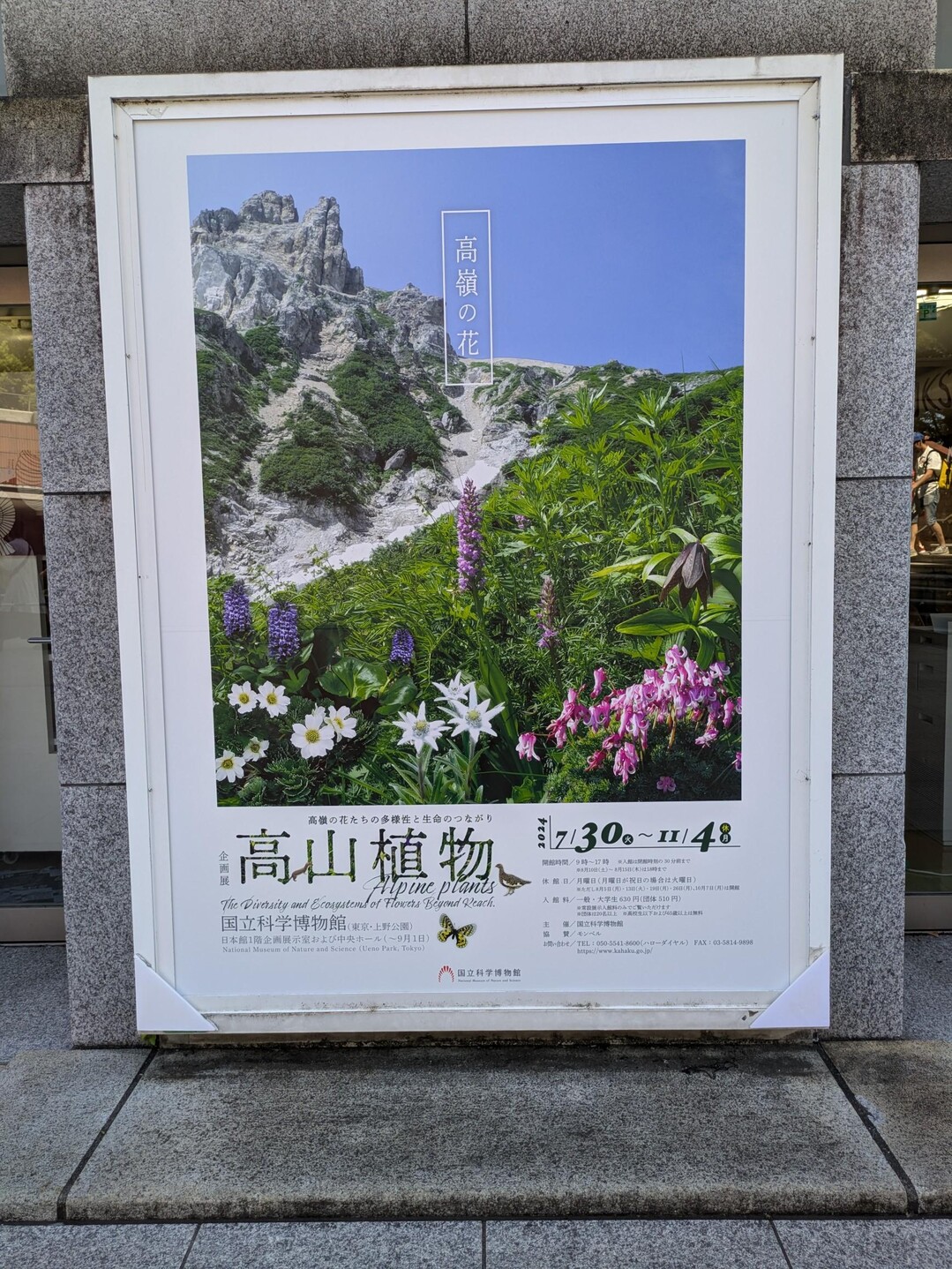 今日は山の日ですが、暑さで山登りは断念し... / やいちんさんのモーメント | YAMAP / ヤマップ